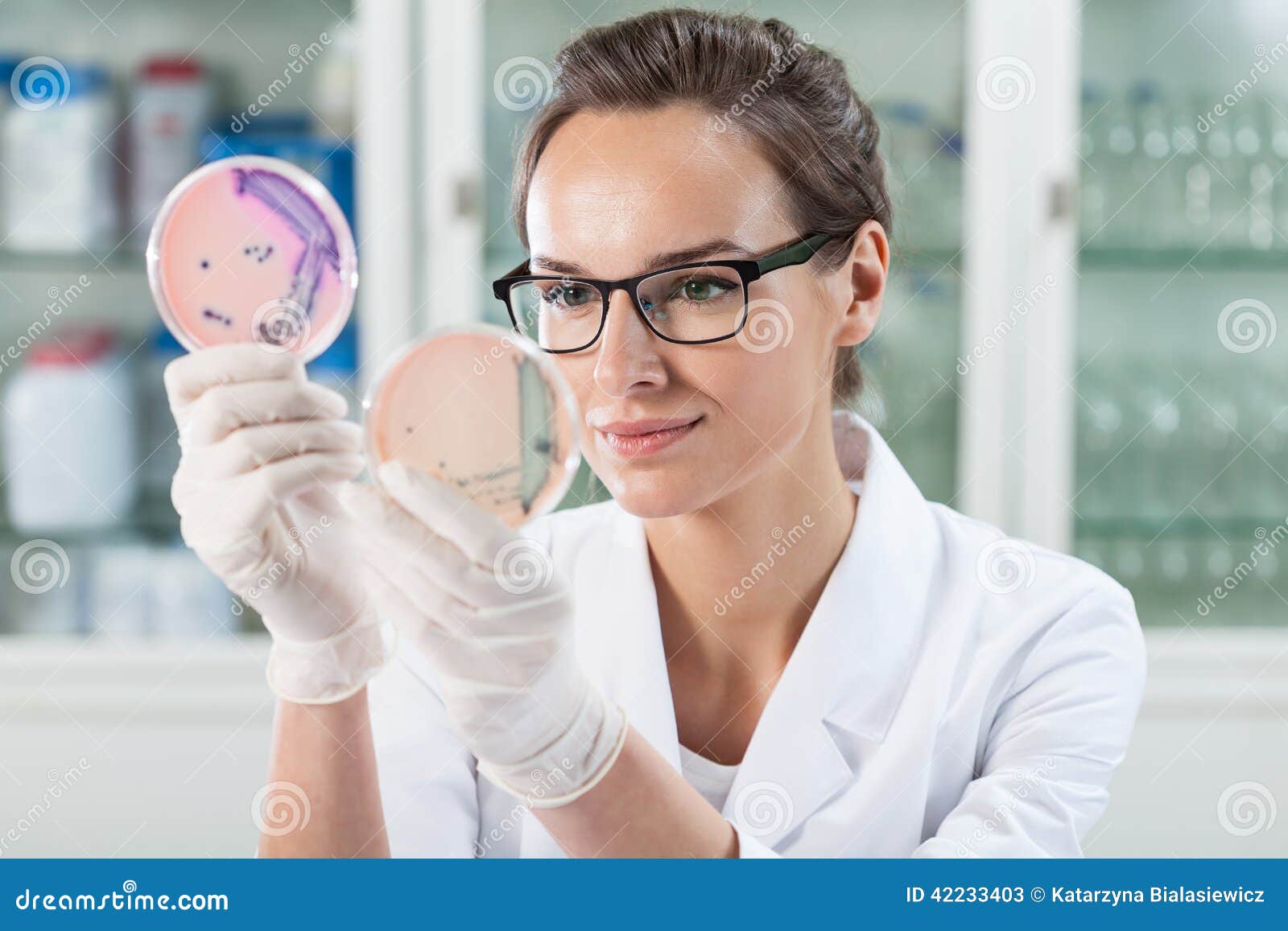 Doctor Examining Solution in Petri Dishes Stock Image - Image of cell ...