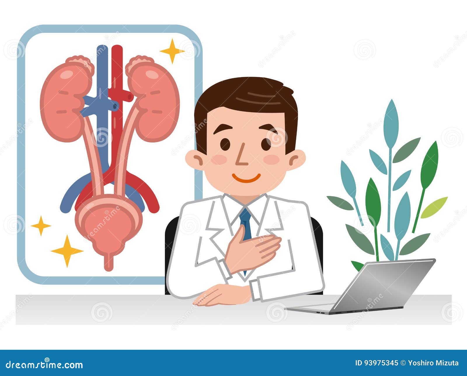 Doctor explaining urology stock vector. Illustration of design - 93975345