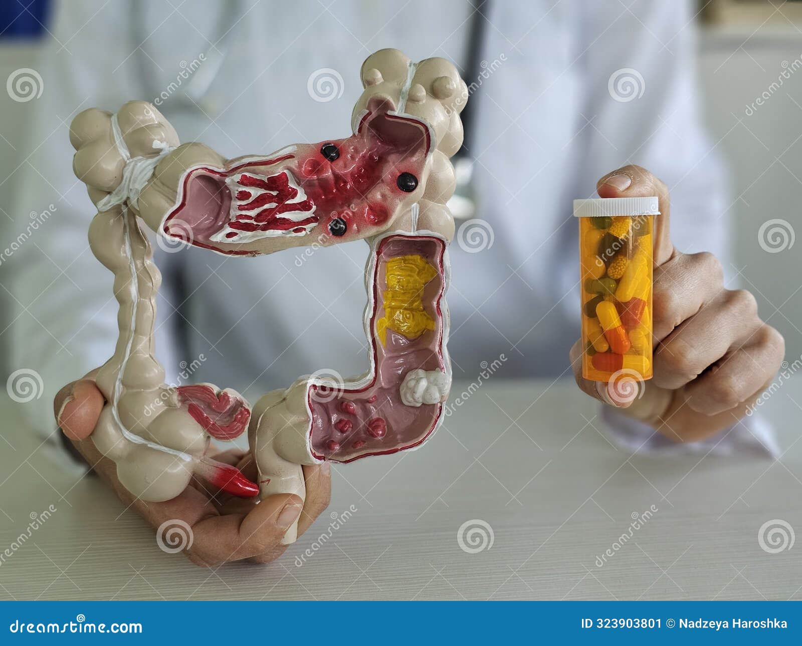 A Doctor Explains the Digestive System Using a Model and Holding a ...