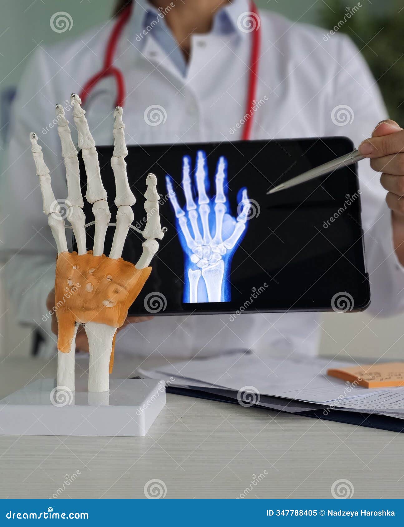 Doctor Explains Hand Anatomy Using Model and Digital Displays Concept ...