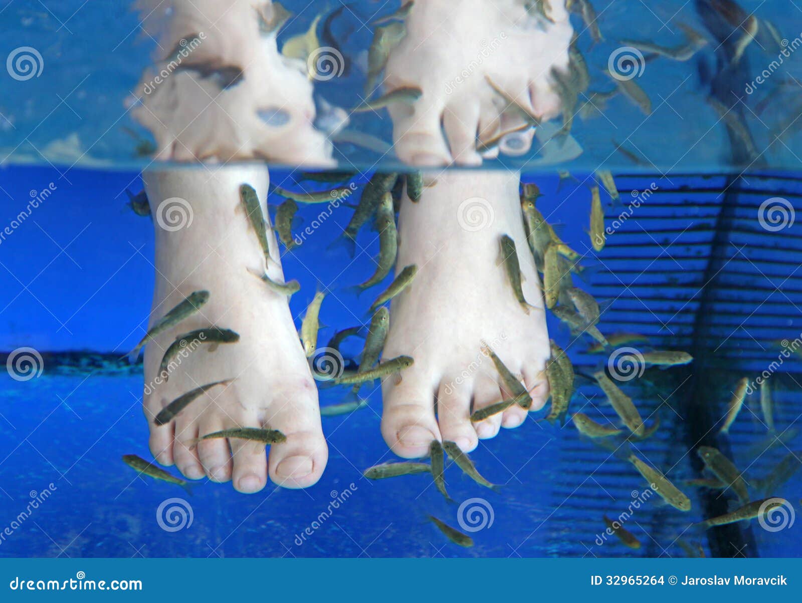 Doctor fish - fisha spa stock photo. Image of reddish - 32965264