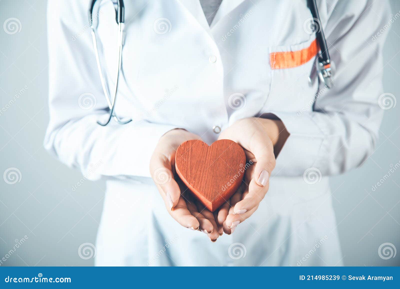 Doctor Hand Holding Red Heart. Stock Image - Image of physician, hands ...