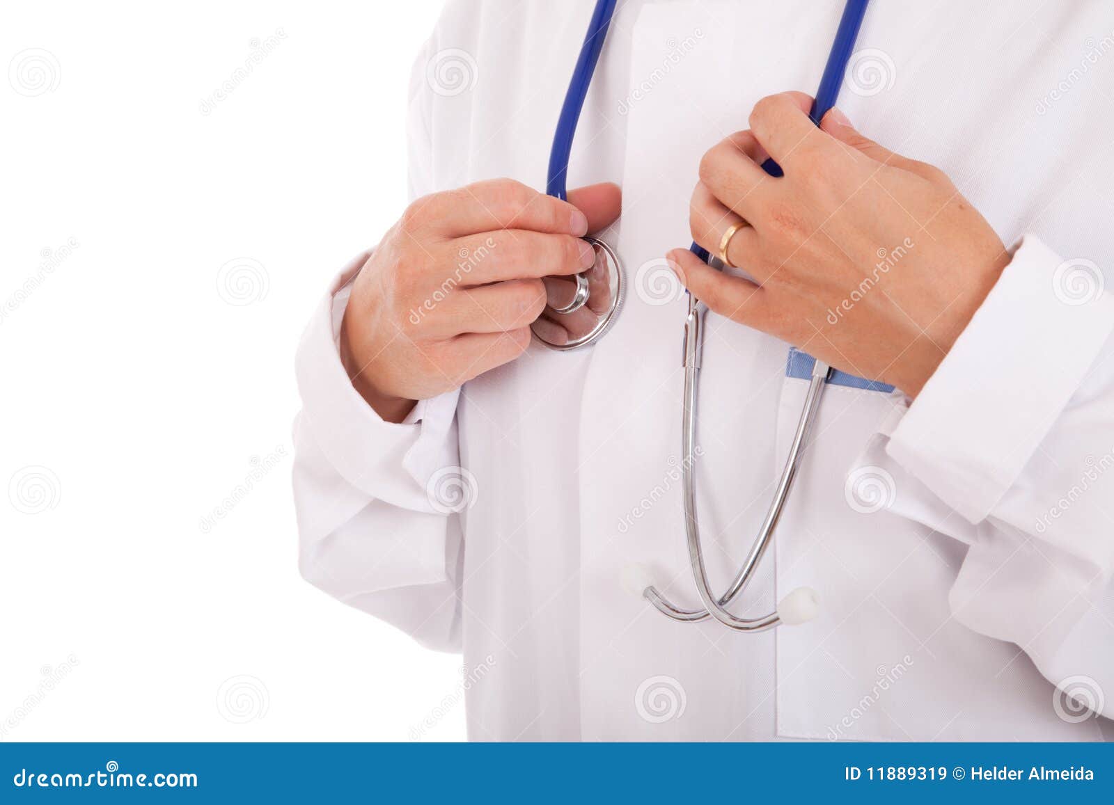 Doctor hands stock image. Image of health, pose, profession - 11889319
