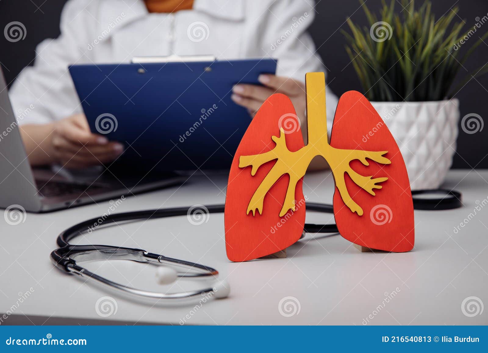The Doctor at His Office and Model of a Human Lung Stock Image - Image ...
