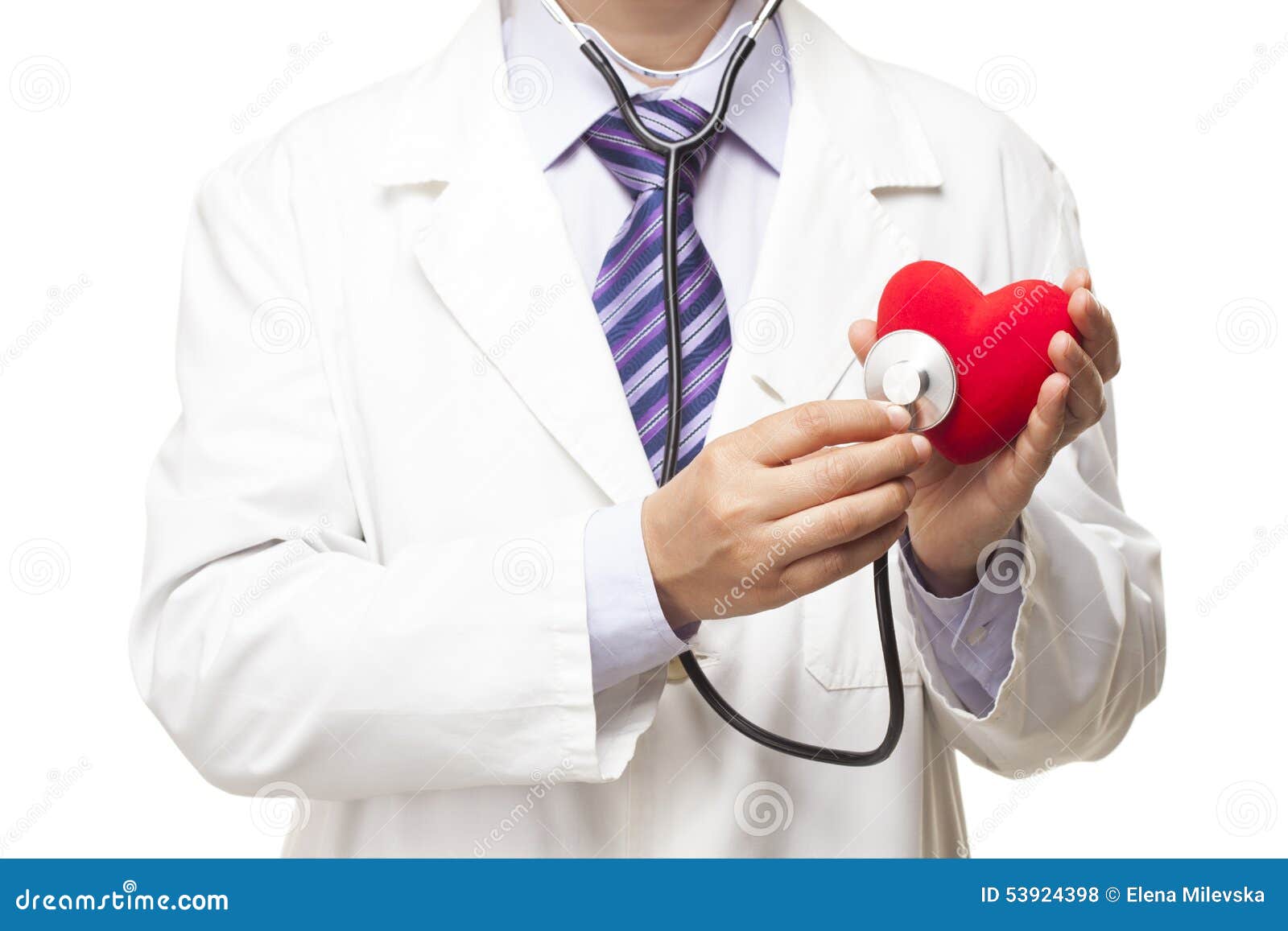 Doctor holding heart stock photo. Image of care, cardiologist - 53924398