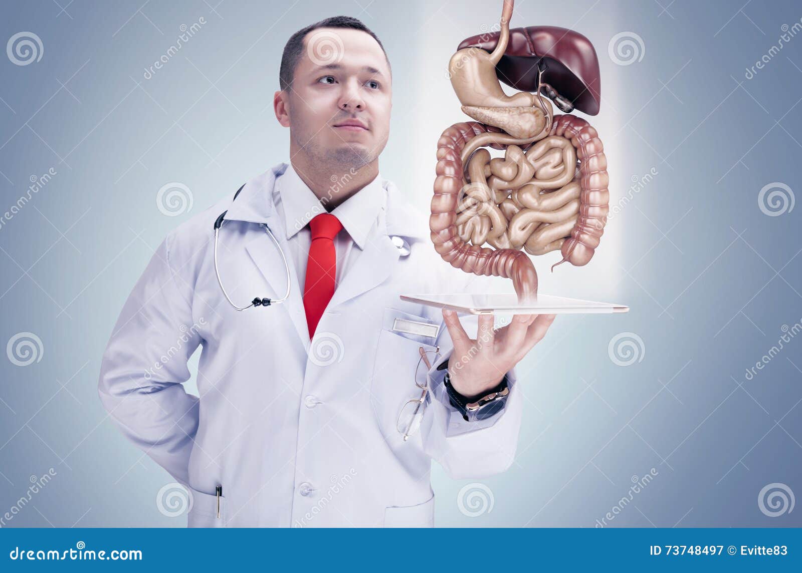 Doctor Holding Human Organs on the Tablet on Grey Background . High ...