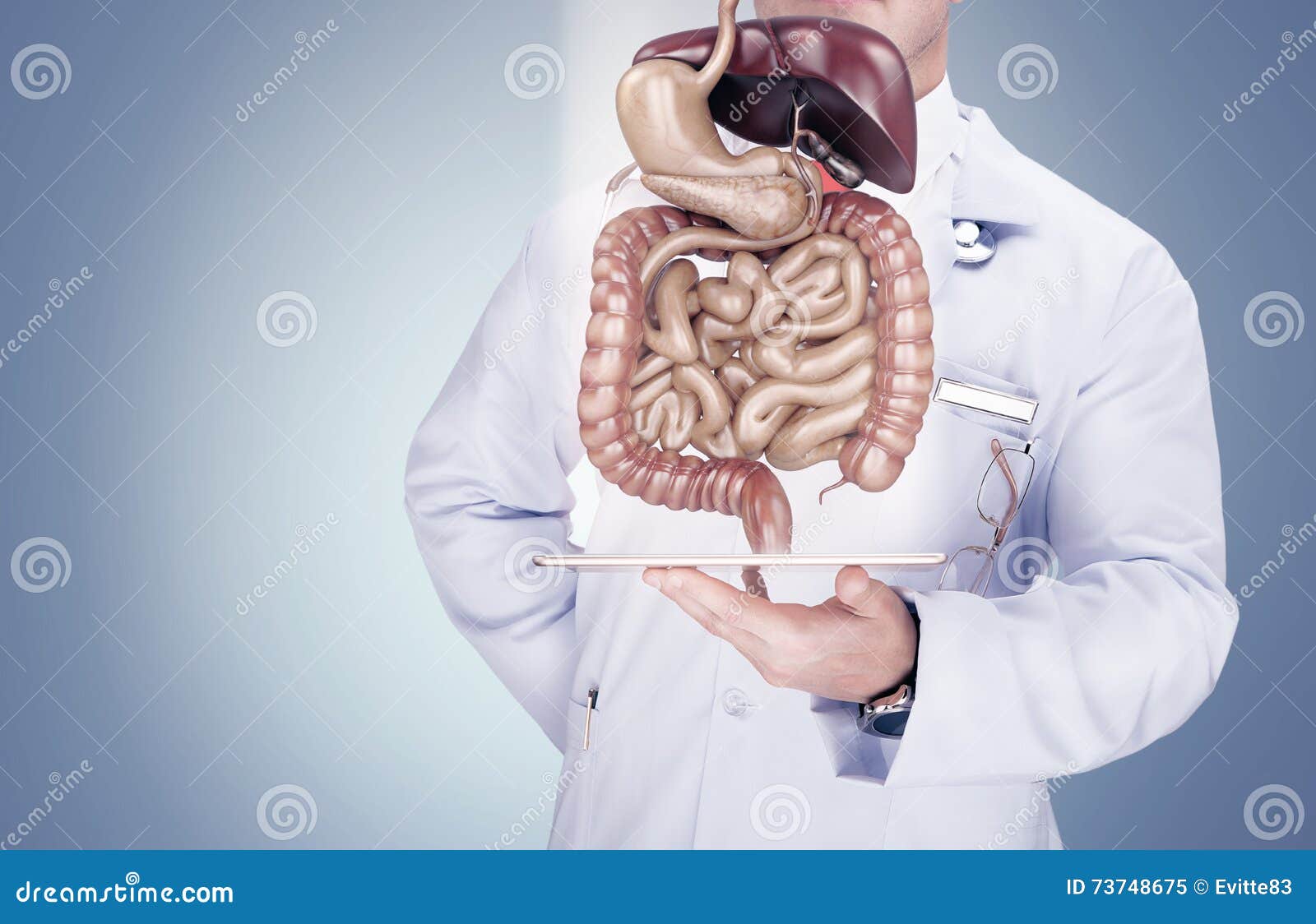 Doctor Holding Human Organs on the Tablet on Grey Background . High ...