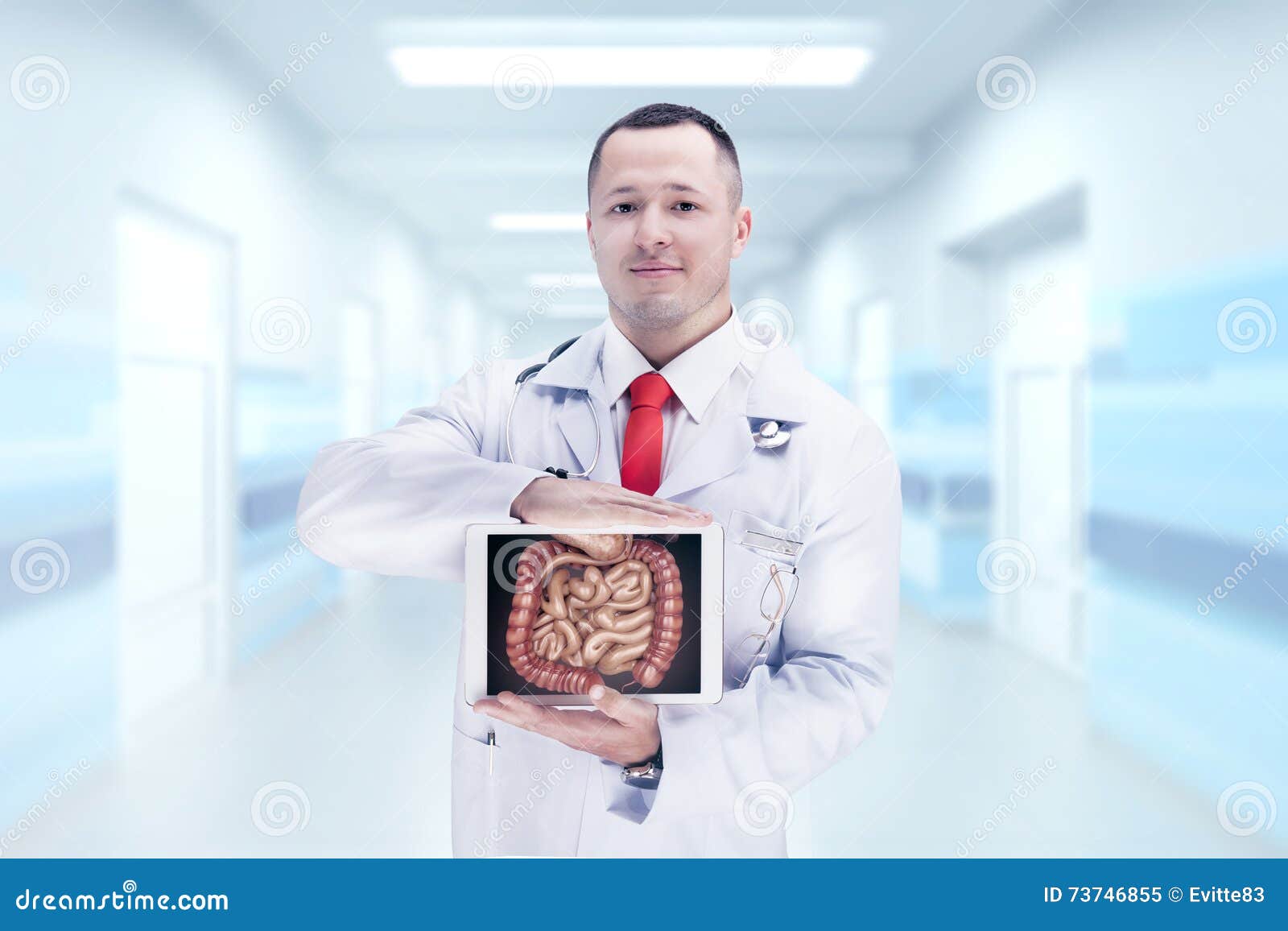 Doctor Holding Human Organs on the Tablet . High Resolution. Stock ...