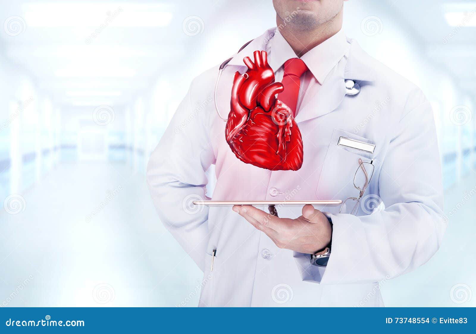 Doctor Holding Human Organs on the Tablet . High Resolution. Stock ...