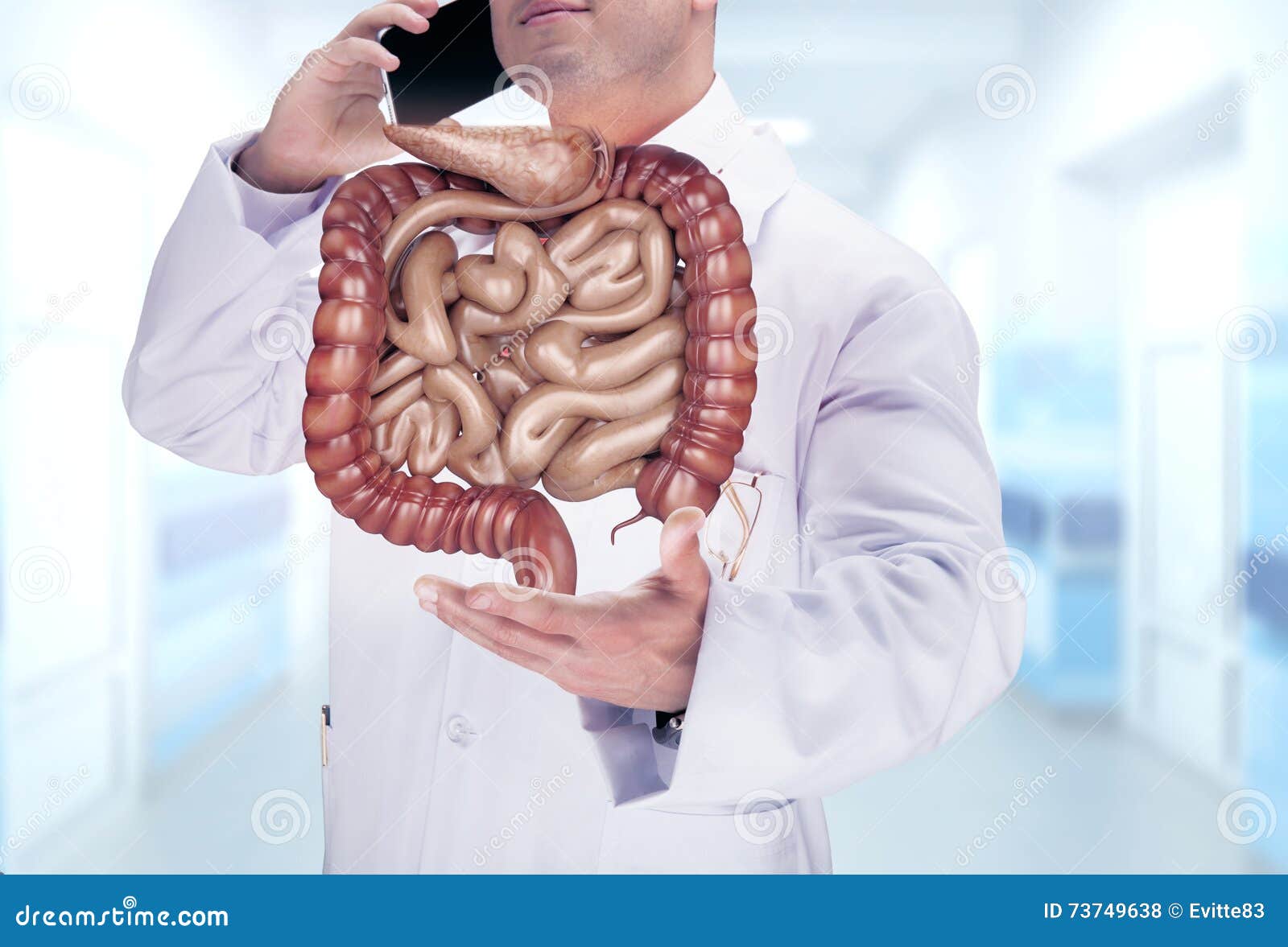 Doctor Holding Human Organs and Talking on the Phone Stock Photo ...