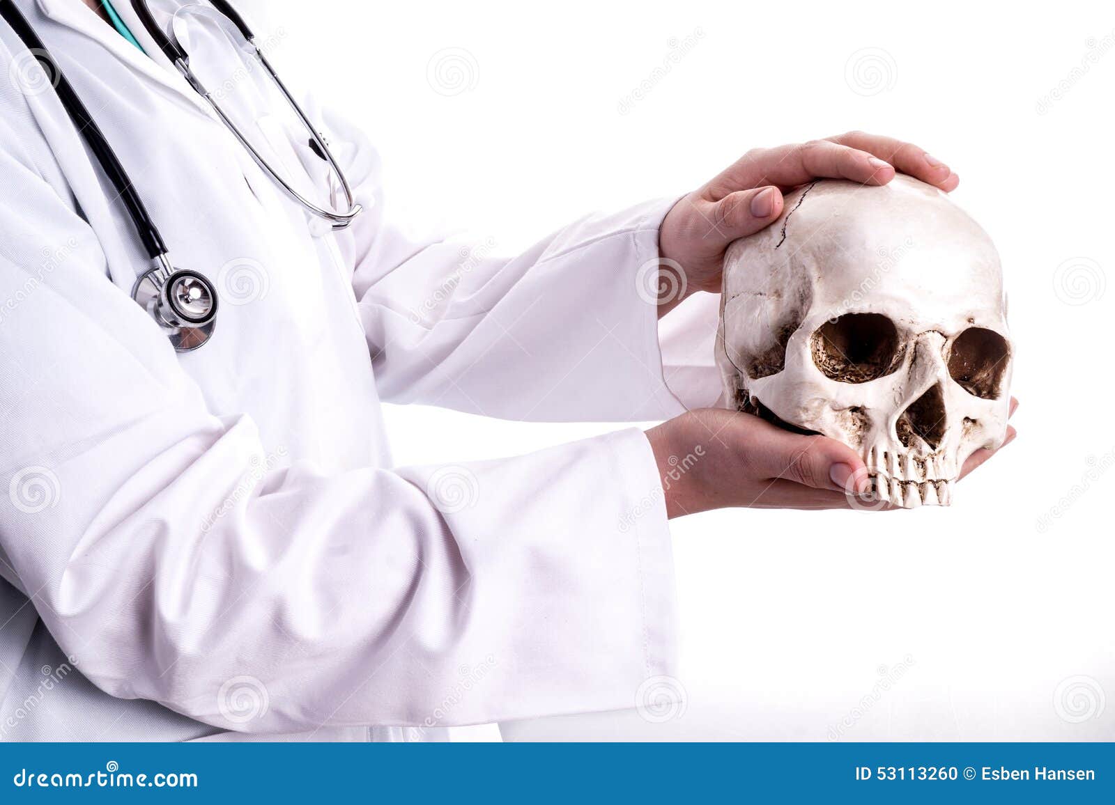 Doctor Holding a Skull in His Hands. Stock Photo - Image of dead ...