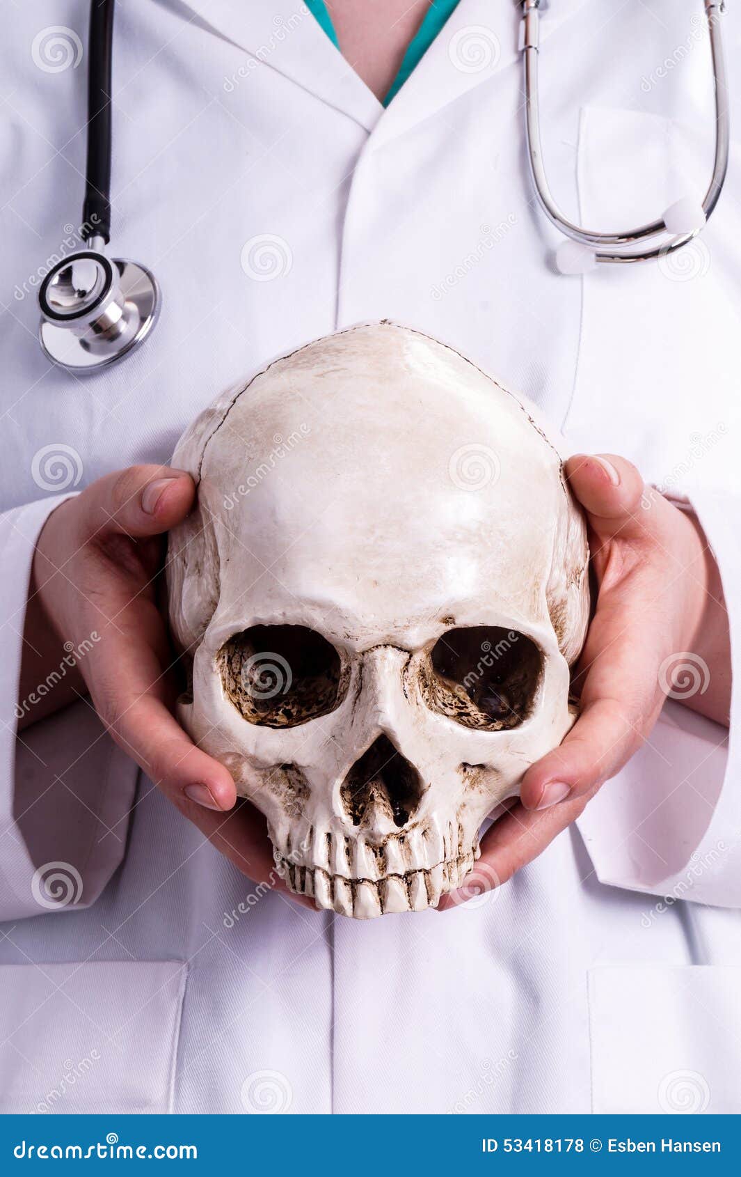 Doctor Holding a Skull in His Hands Stock Photo - Image of copy, care ...