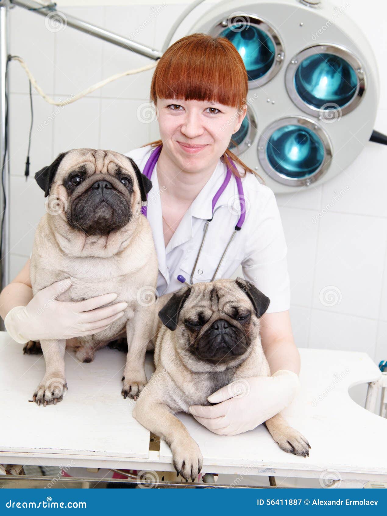 Doctor Hugging Two Dogs in a Veterinary Clinic Stock Image - Image of ...