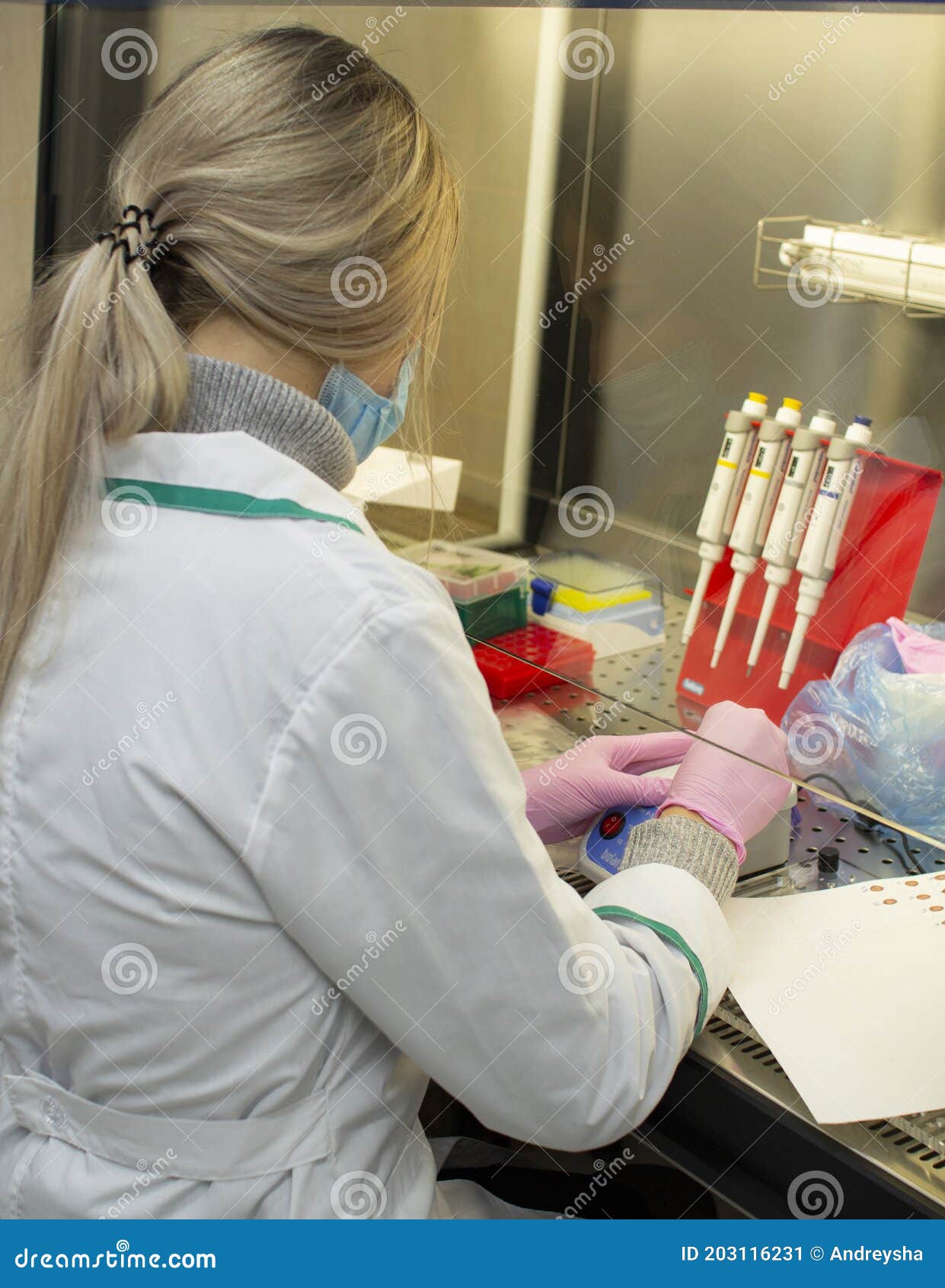 A Doctor in the Laboratory Analyzes the Reproductive System Stock Image ...