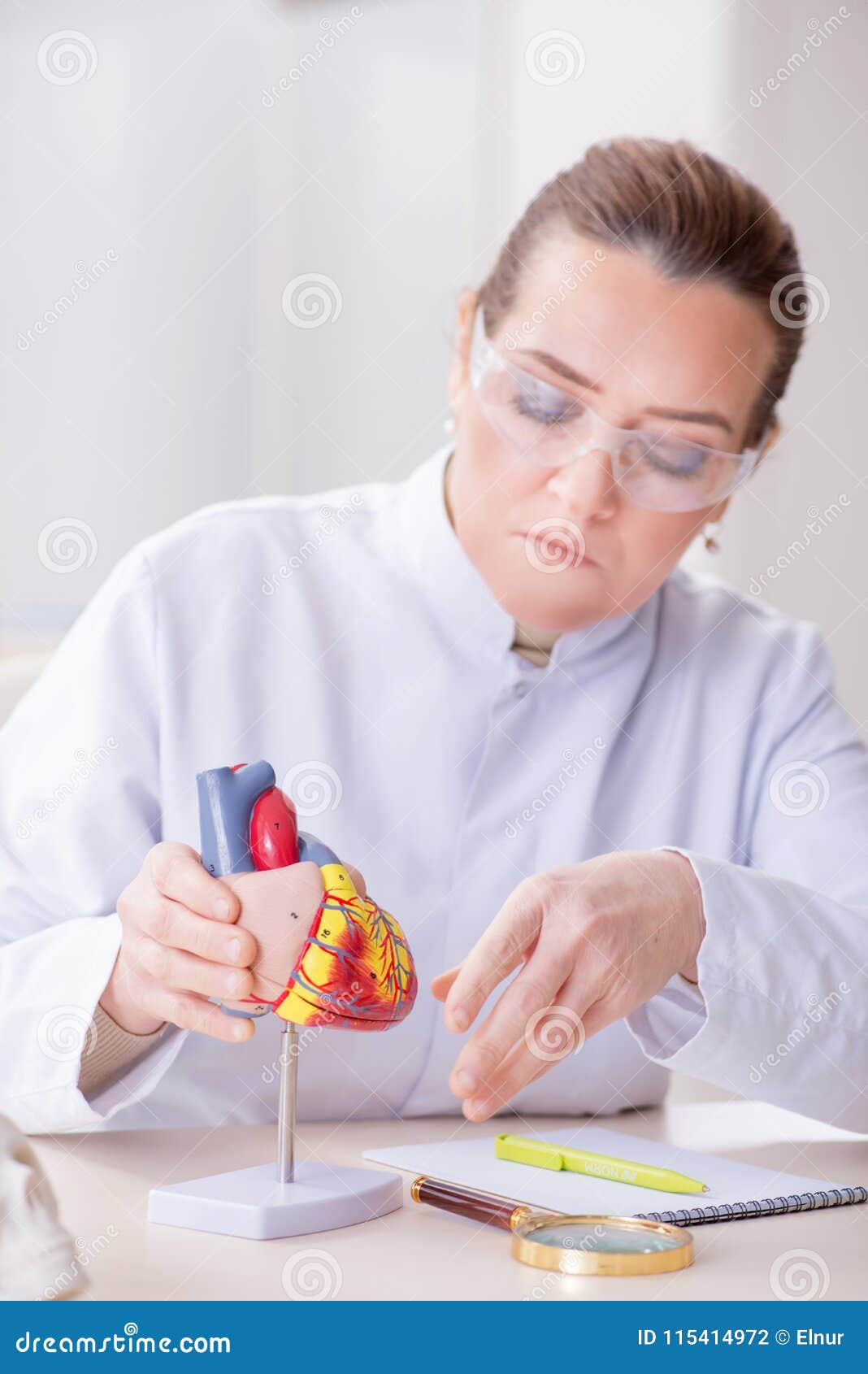 The Doctor Lecturer Explaining Various Parts of Heart Stock Photo ... The Doctor Lecturer Explaining Various Parts of Heart Stock Photo ...