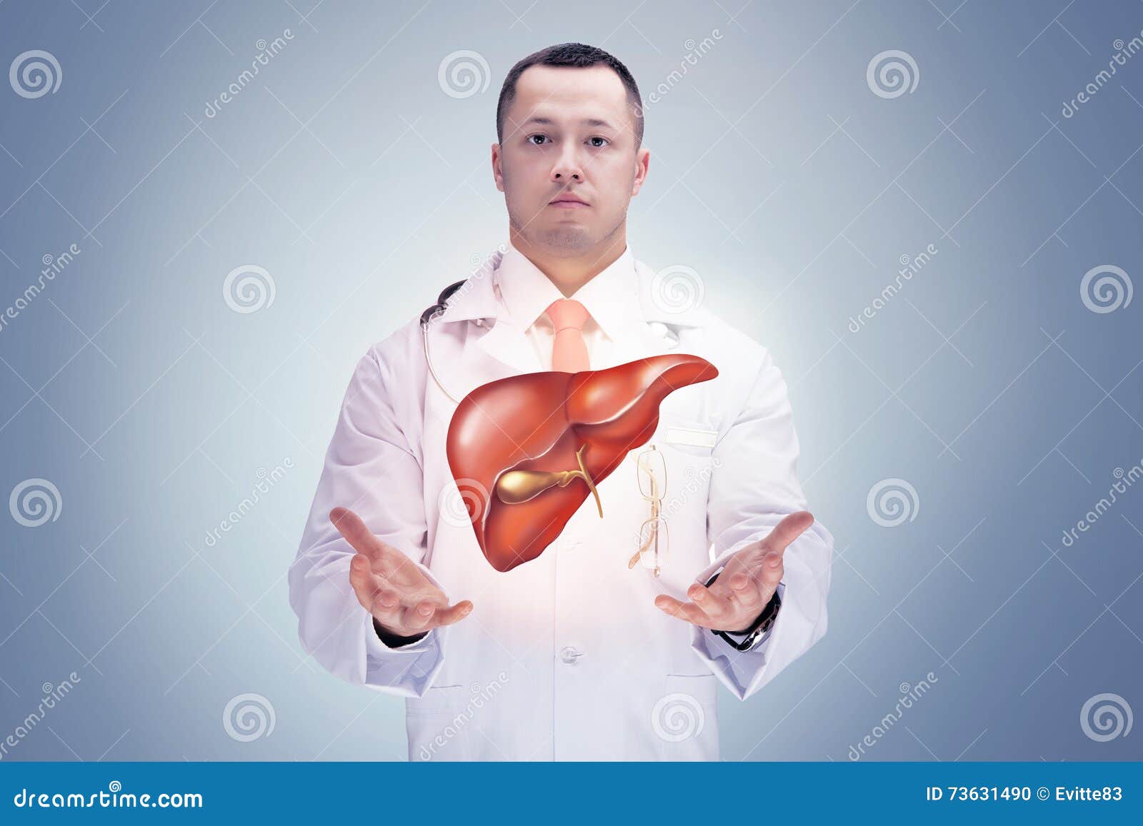 Doctor with Liver in Hands . Gray Background. High Resolution. Stock ...