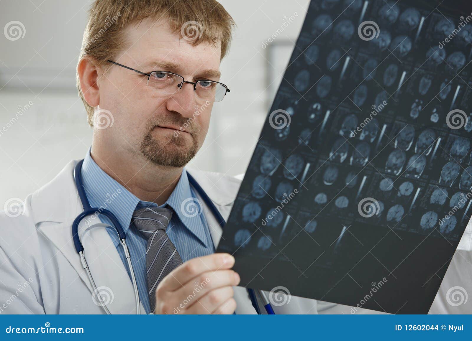 Doctor Looking at Medical Scan Stock Photo - Image of check, analysis ...