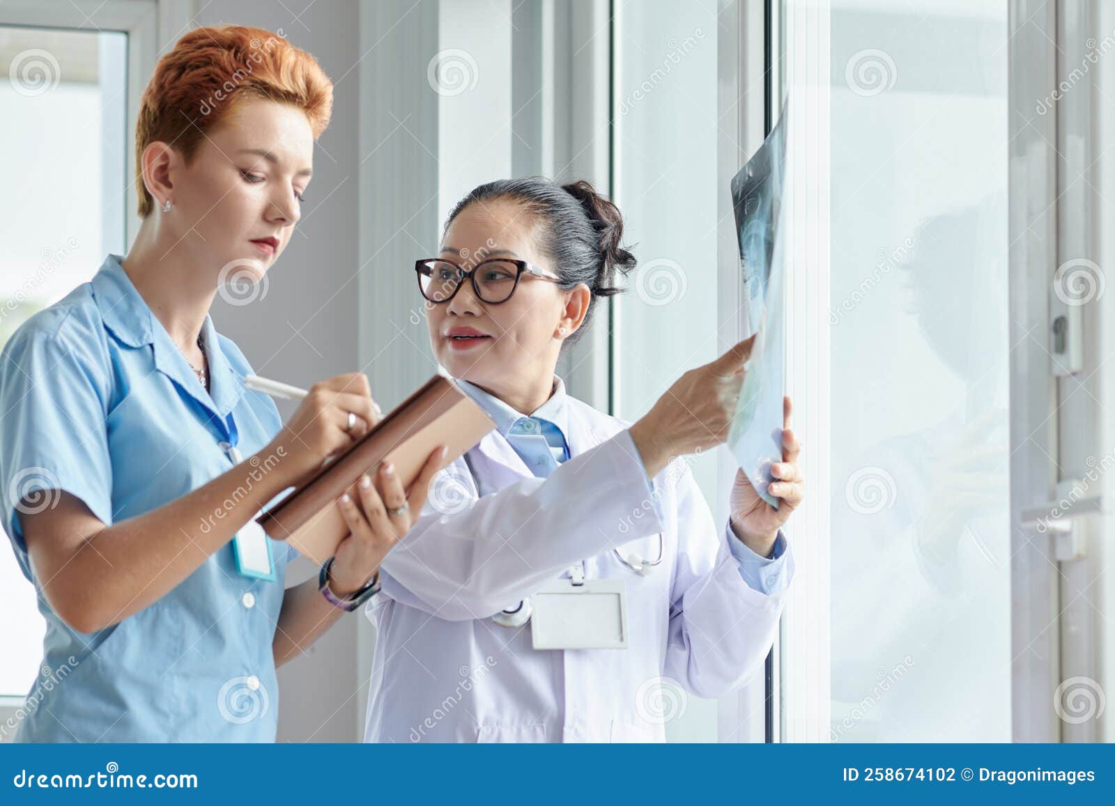 Doctor Making Diagnosis Based on X-ray Image Stock Photo - Image of ...