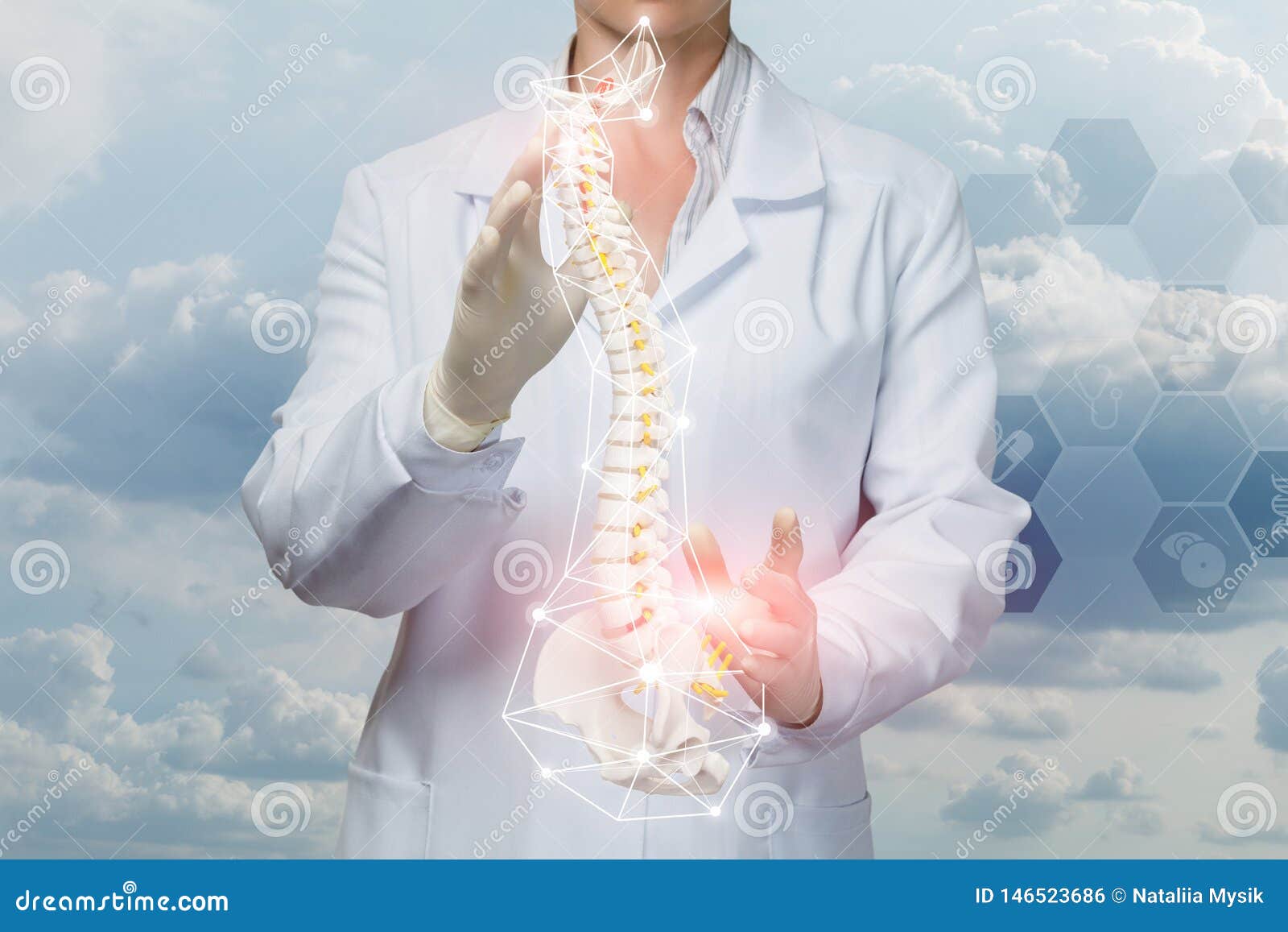 A Doctor Operating with a Digital Artificial Spine Model with Pelvis ...