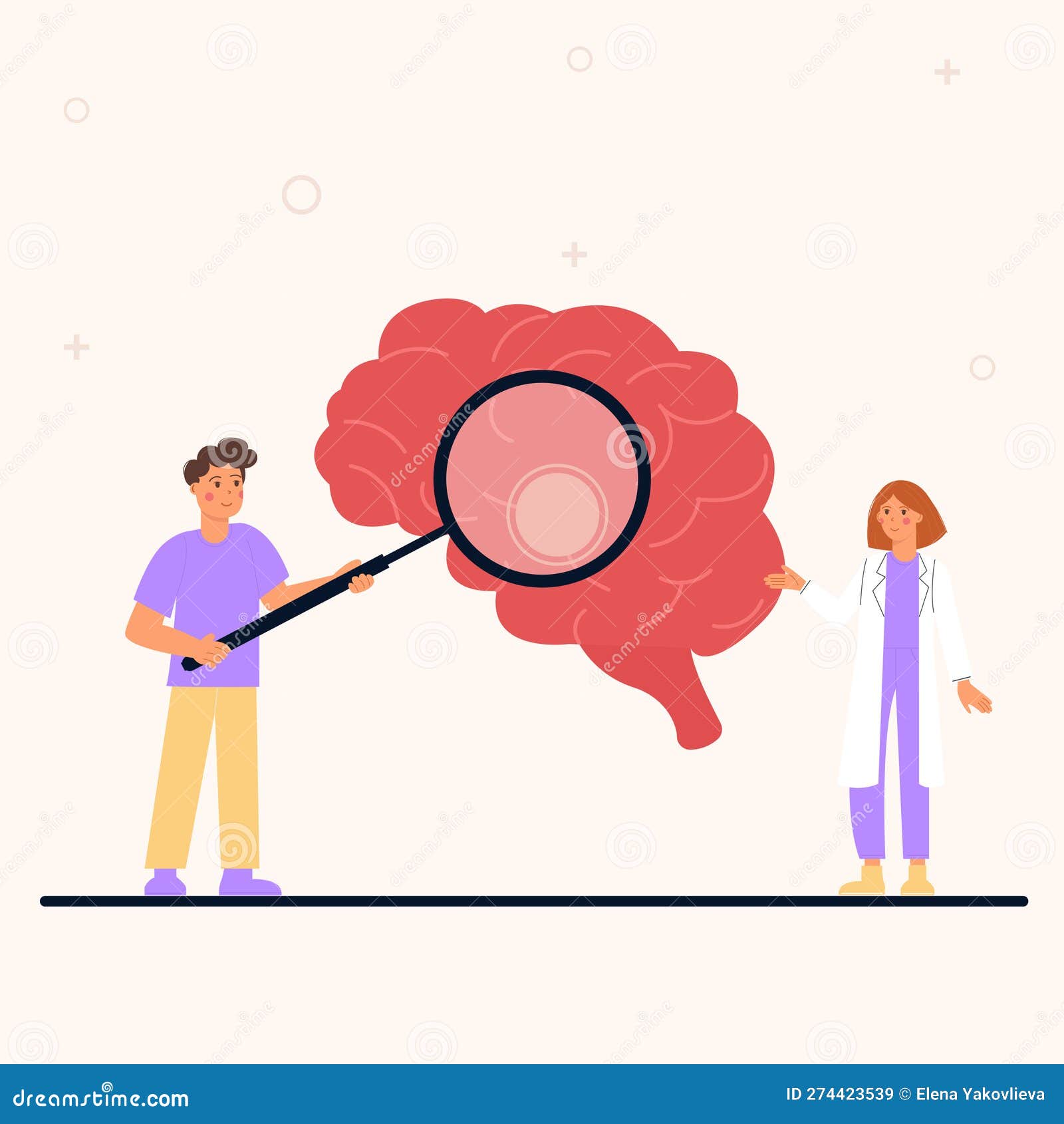 Exploring The Brain S Neural Connections Understanding The Complex ...