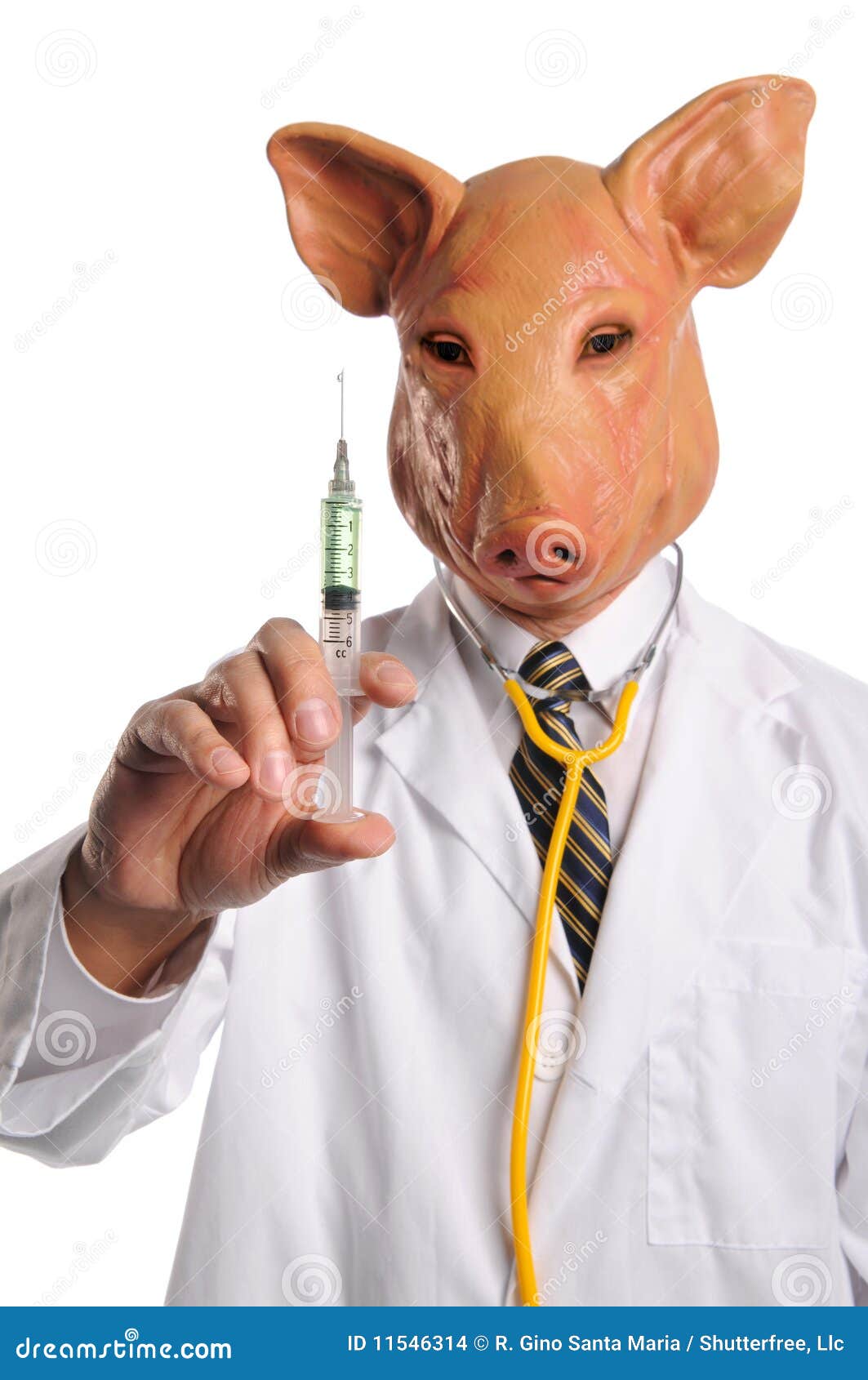 Doctor with Pig S Head Holding Syringe Stock Photo - Image of disaster ...