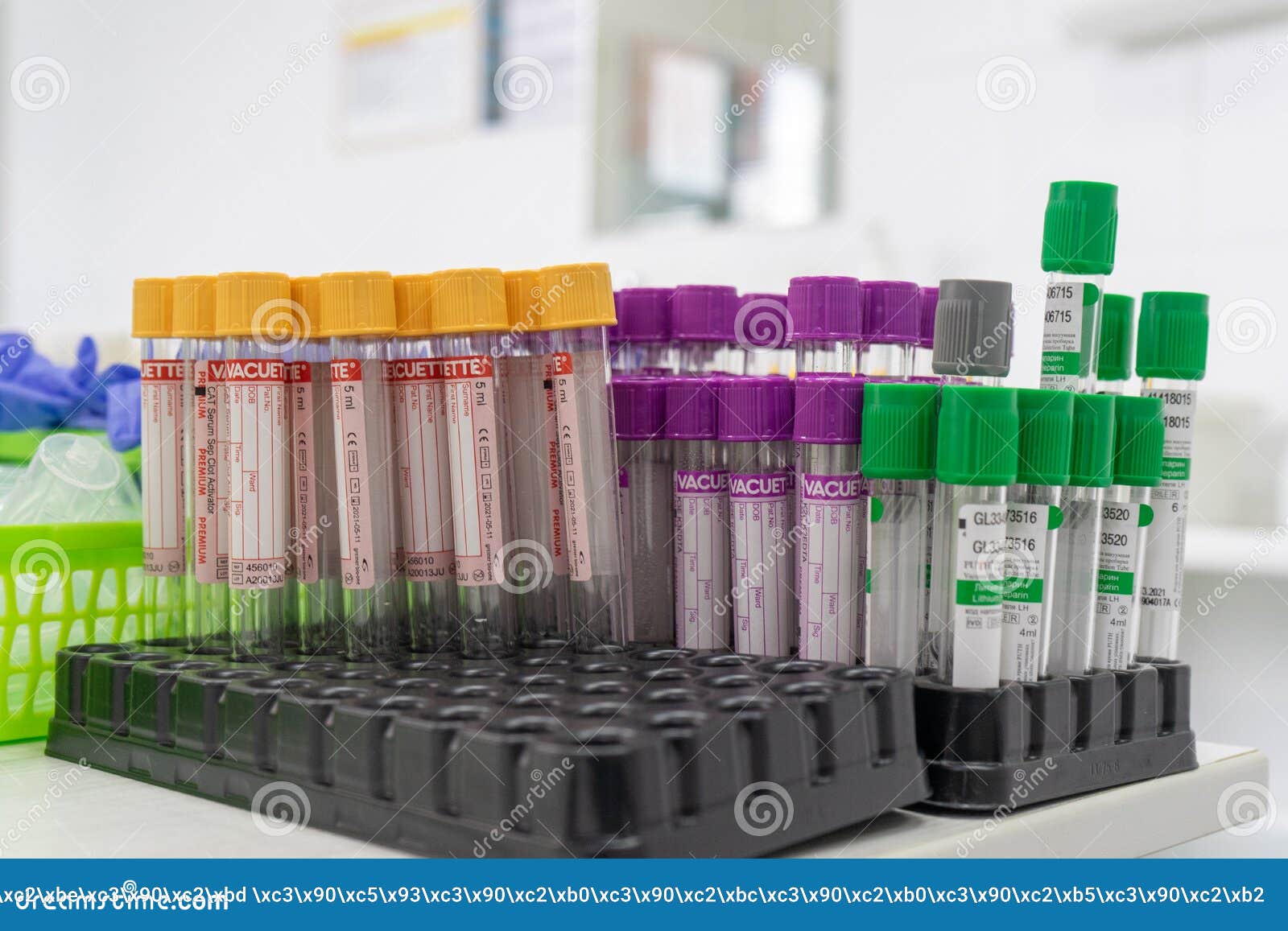 Doctor Preparing Patient for Blood Sampling. Focus on Blood Test Tools ...