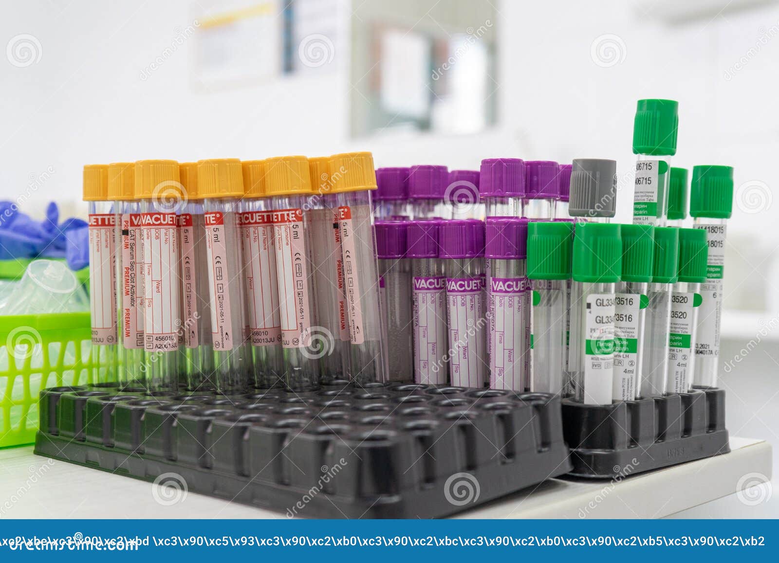Doctor Preparing Patient for Blood Sampling. Focus on Blood Test Tools ...