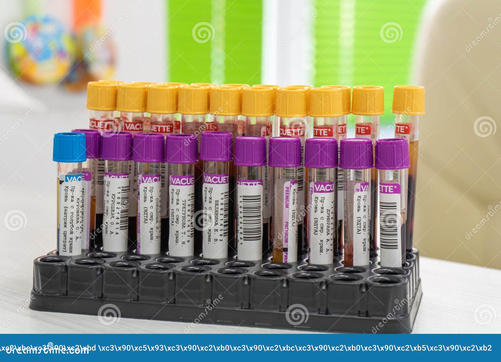 Doctor Preparing Patient for Blood Sampling. Focus on Blood Test Tools ...