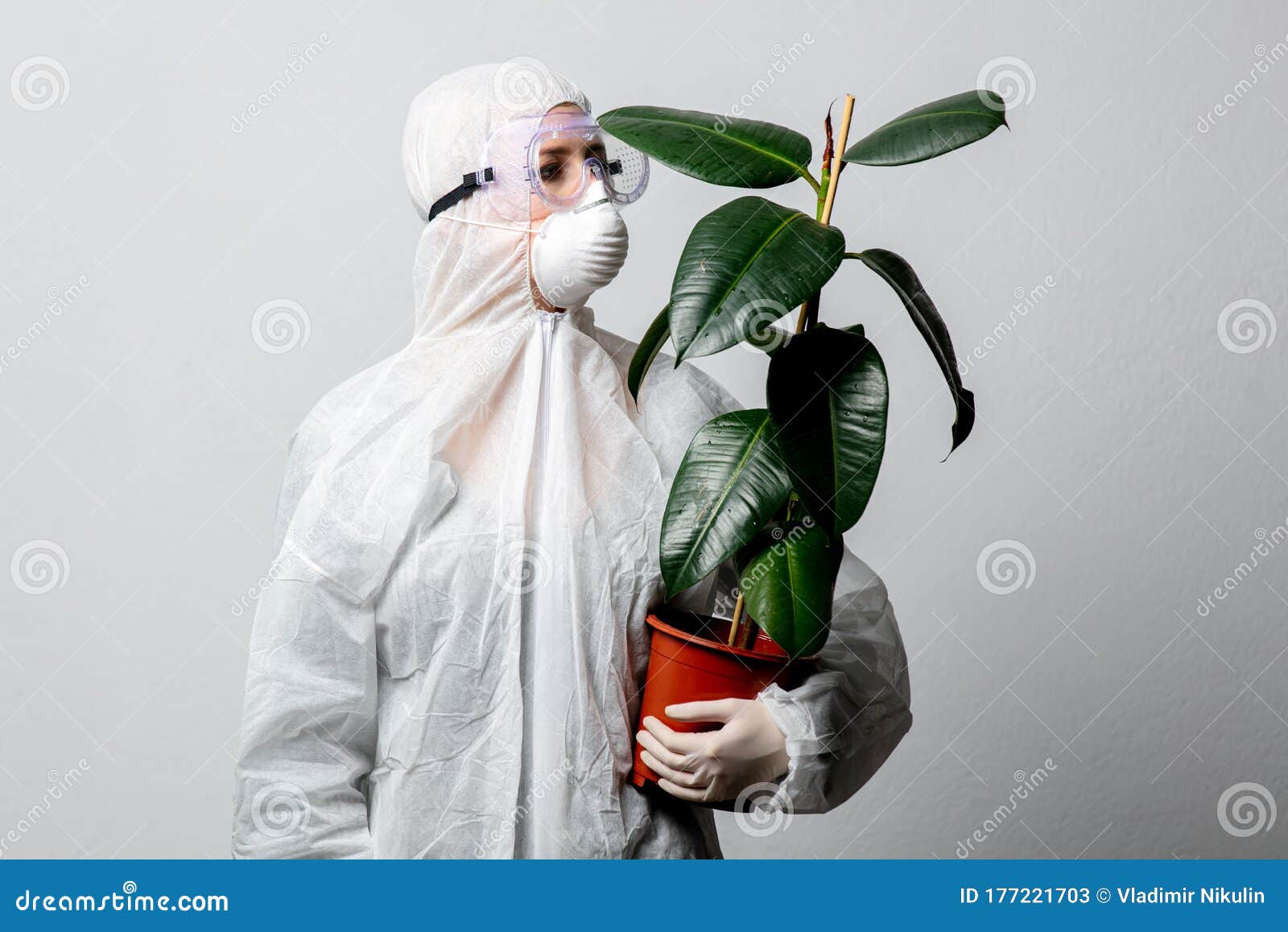 Doctor in Protection Clothes Holds Fig Tree Stock Image - Image of ...