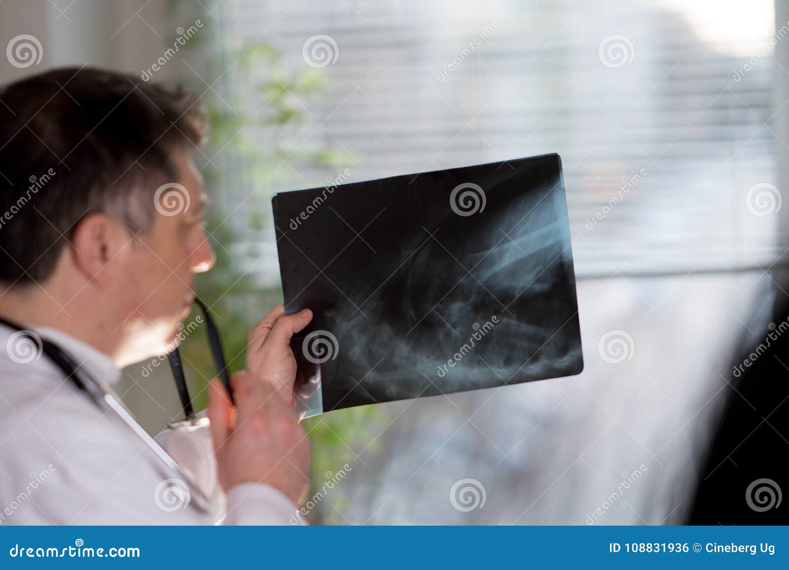 Doctor Reading X-ray Images Stock Photo - Image of pediatrician ...