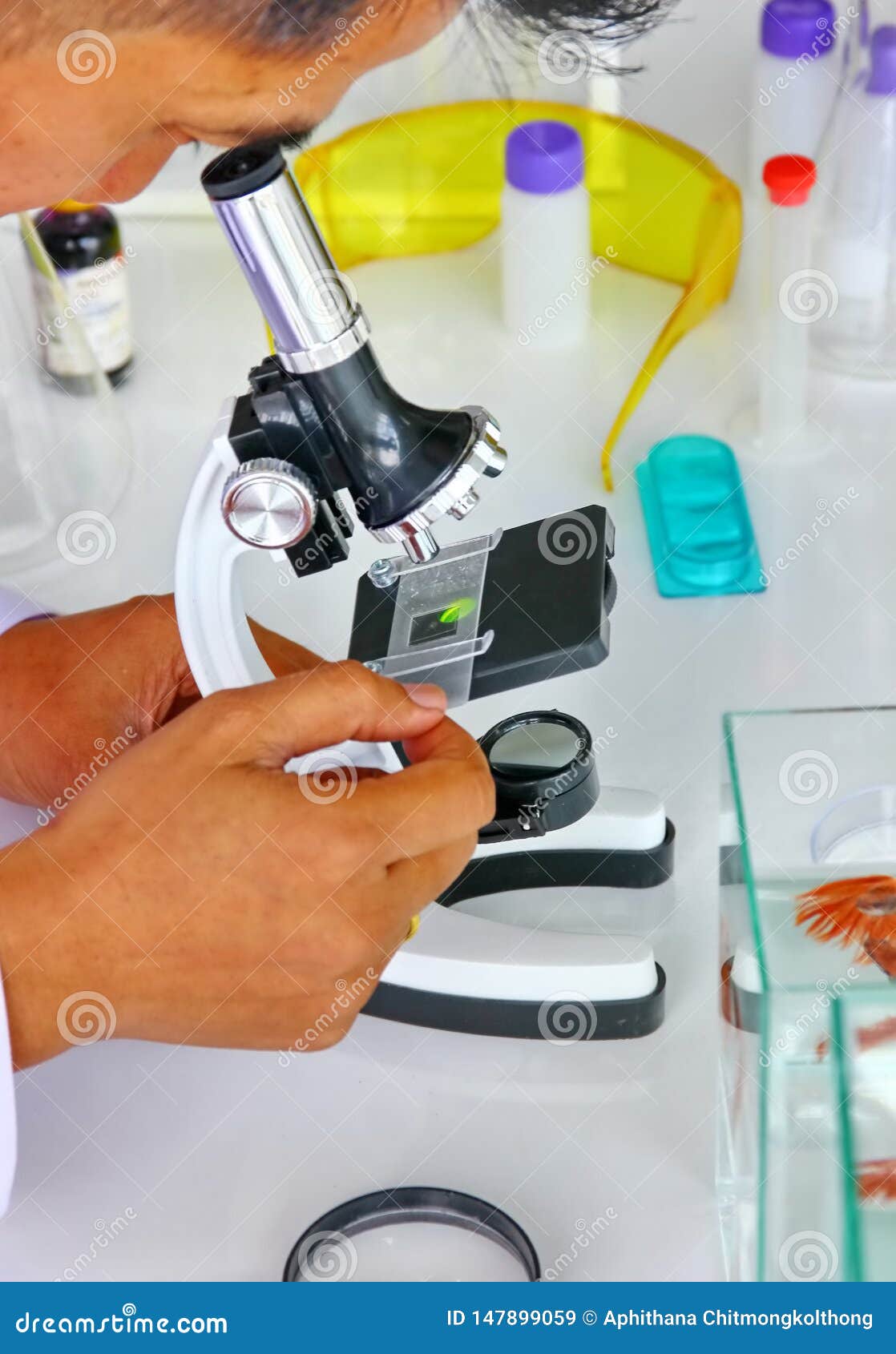 The Doctor with Lab Equipment in Clean Room Using Microscope Looking ...