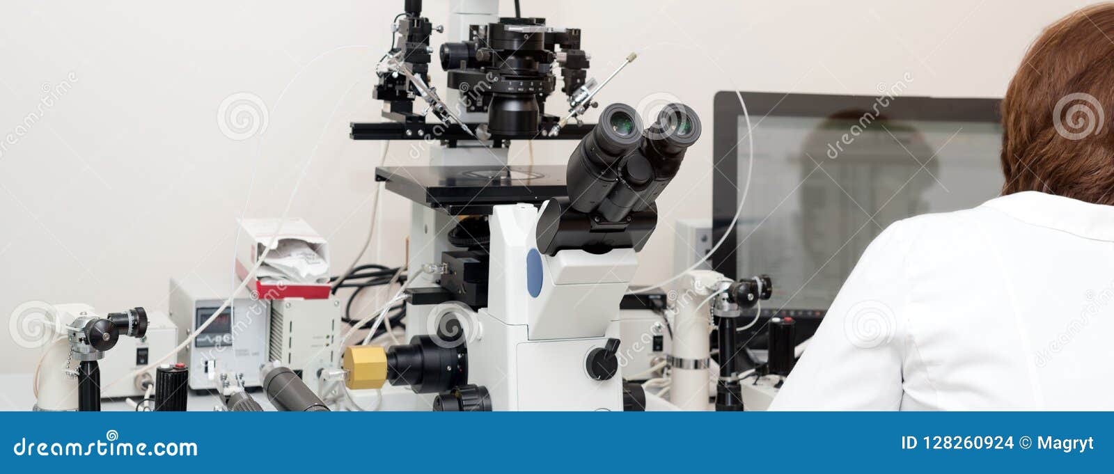 Doctor or Scientist Working with Computer and Microscope in Biotech Lab ...