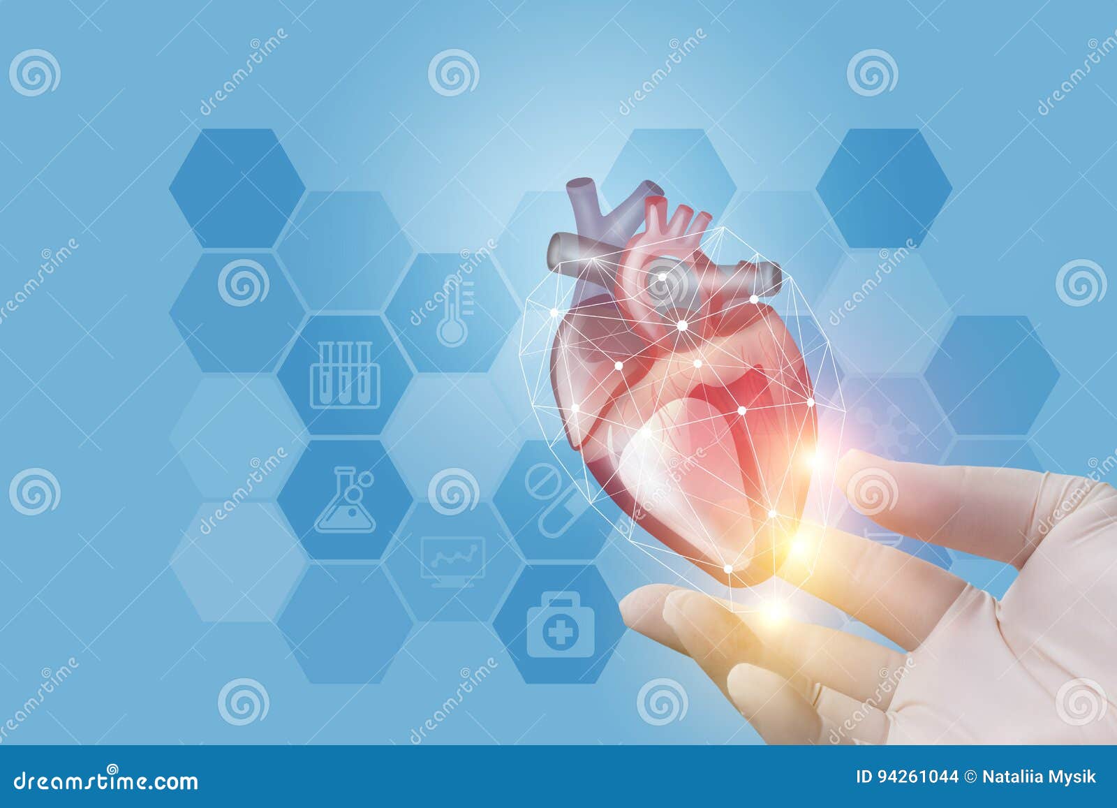 The Doctor Showing is Heart in Hand . Stock Photo - Image of exam ...