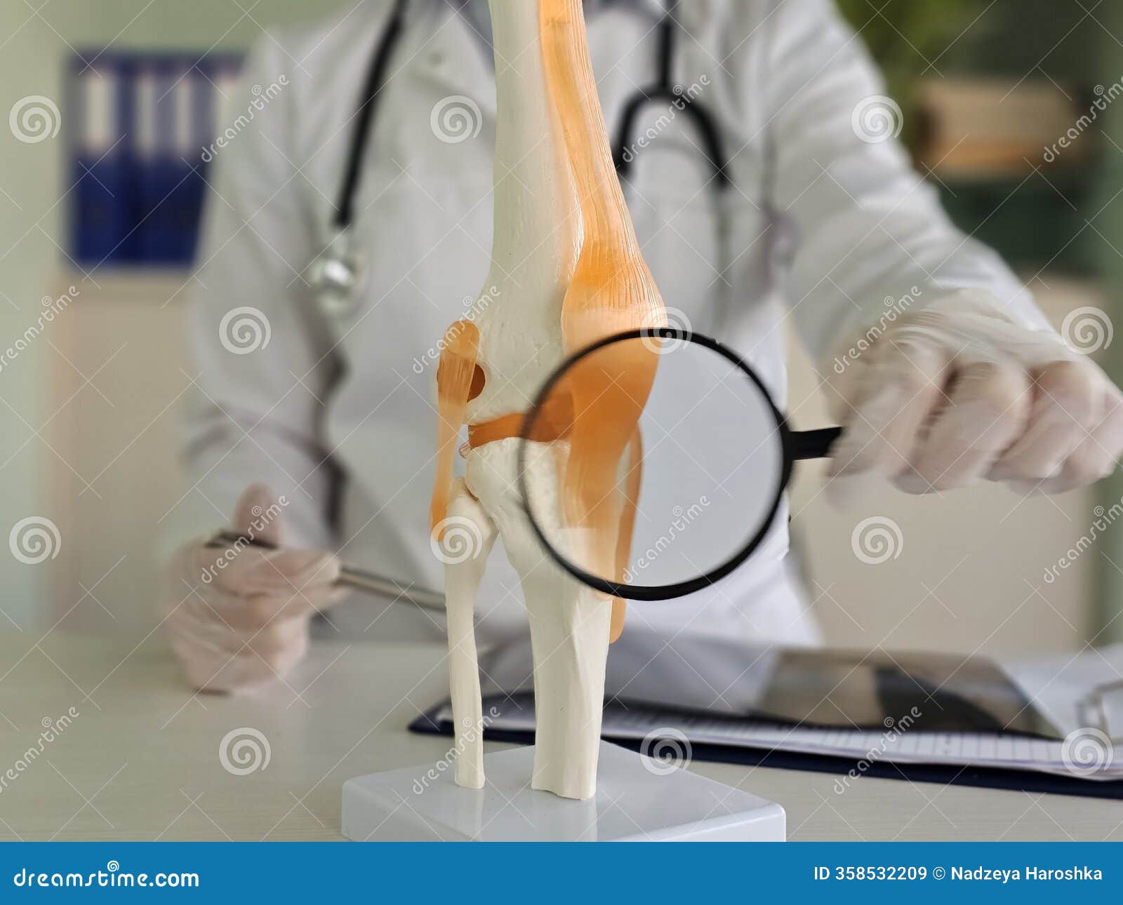 Doctor Shows Anatomy of Structure of Human Knee Joint Closeup Stock ...