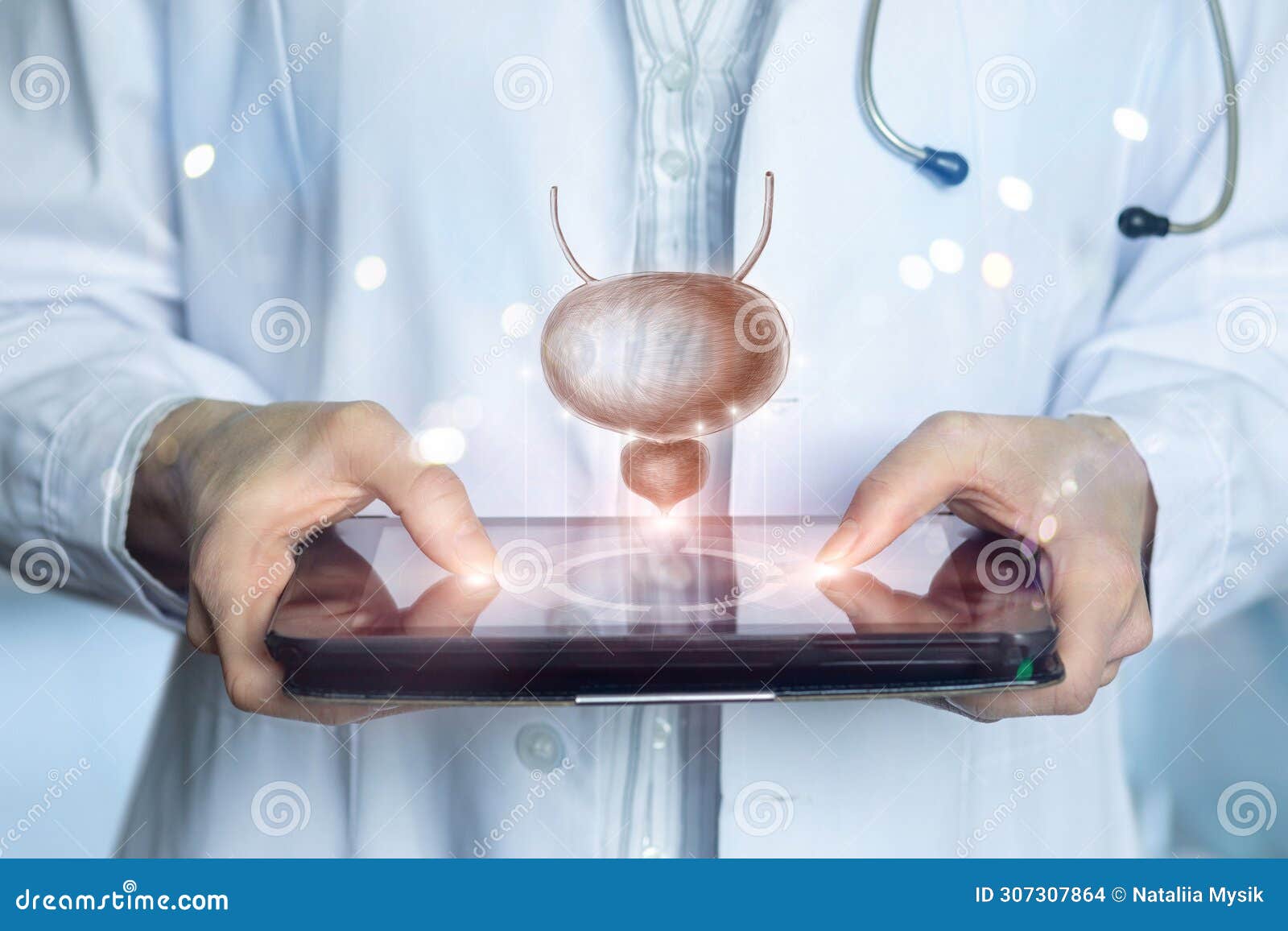 Doctor Shows Bladder and Prostate on Tablet Stock Photo - Image of ...