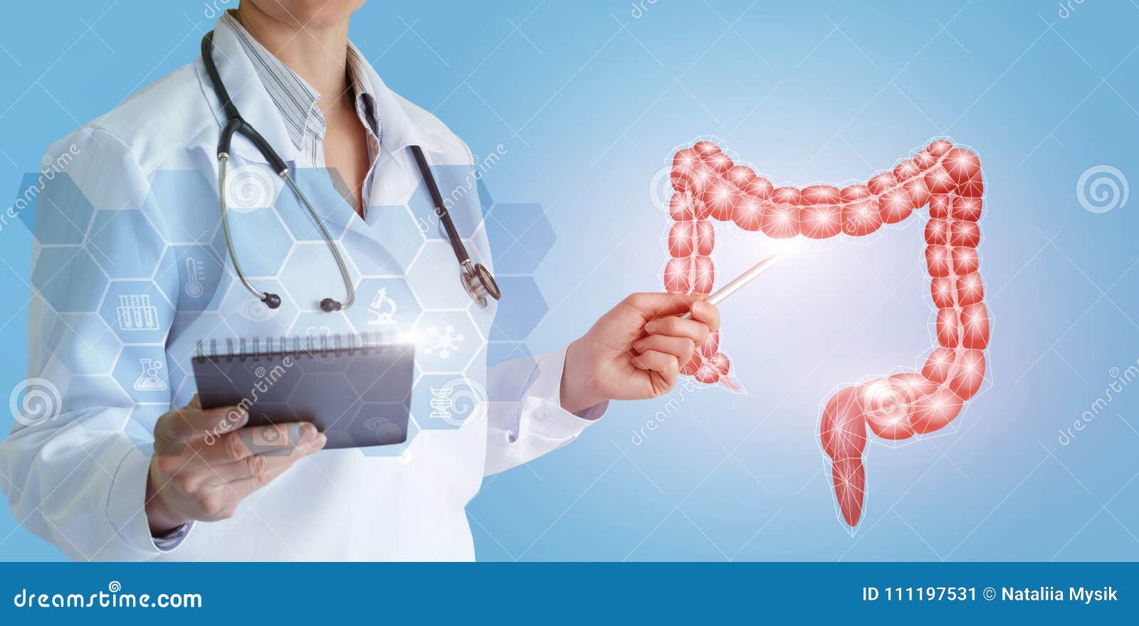 Doctor Shows Colon of a Person . Stock Image - Image of medic, gastric ...