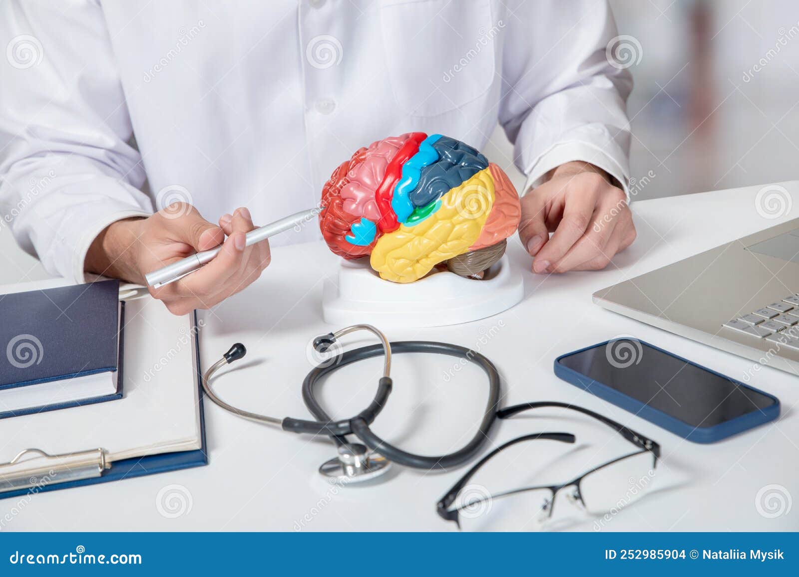 The Doctor Shows the Function of the Brain Stock Photo - Image of ...