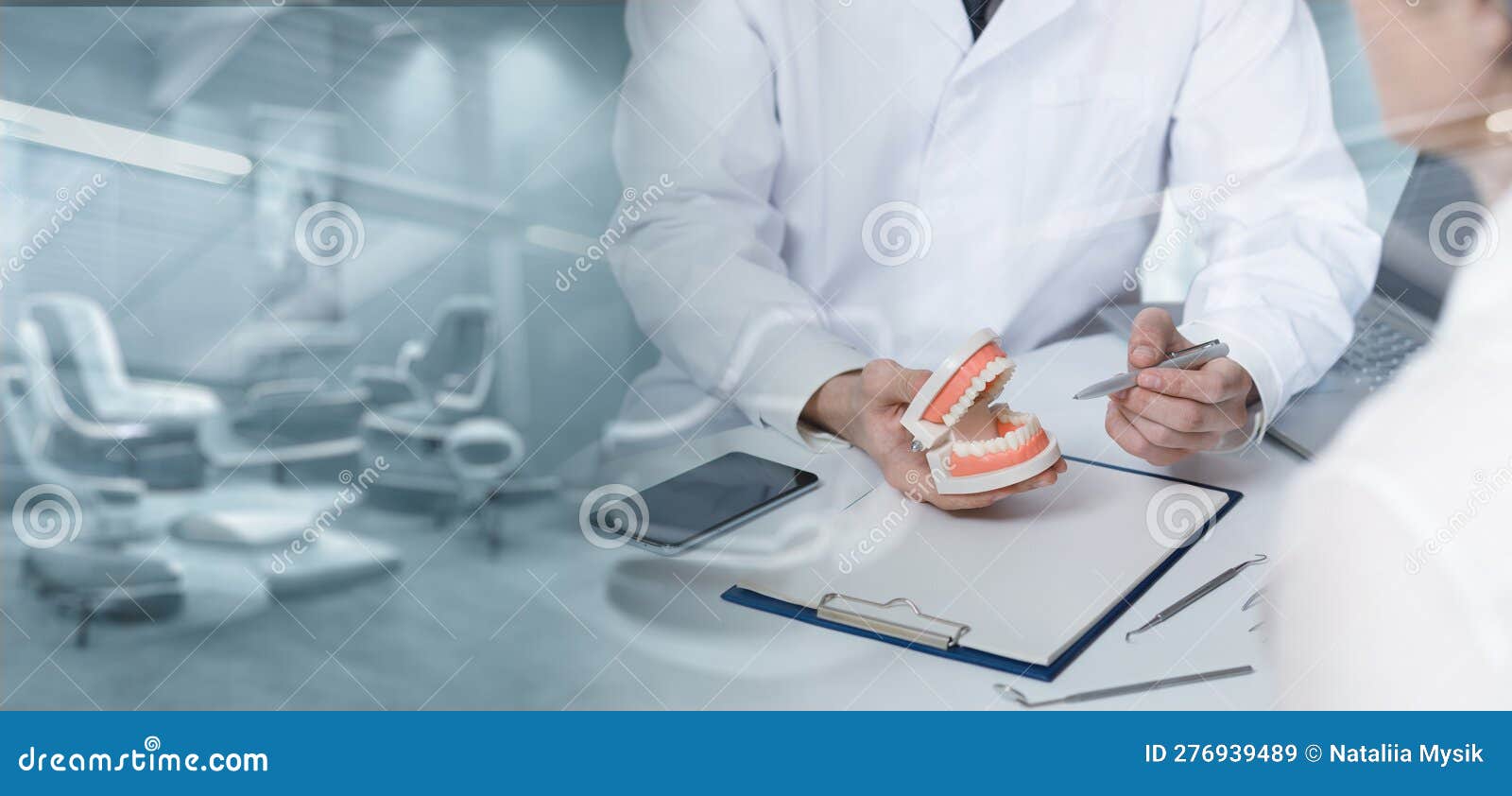 A Doctor Shows a Model of the Oral Cavity with Teeth Stock Image ...