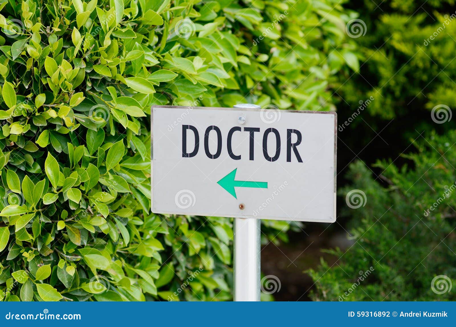 Doctor stock photo. Image of point, room, hospital, sickness - 59316892