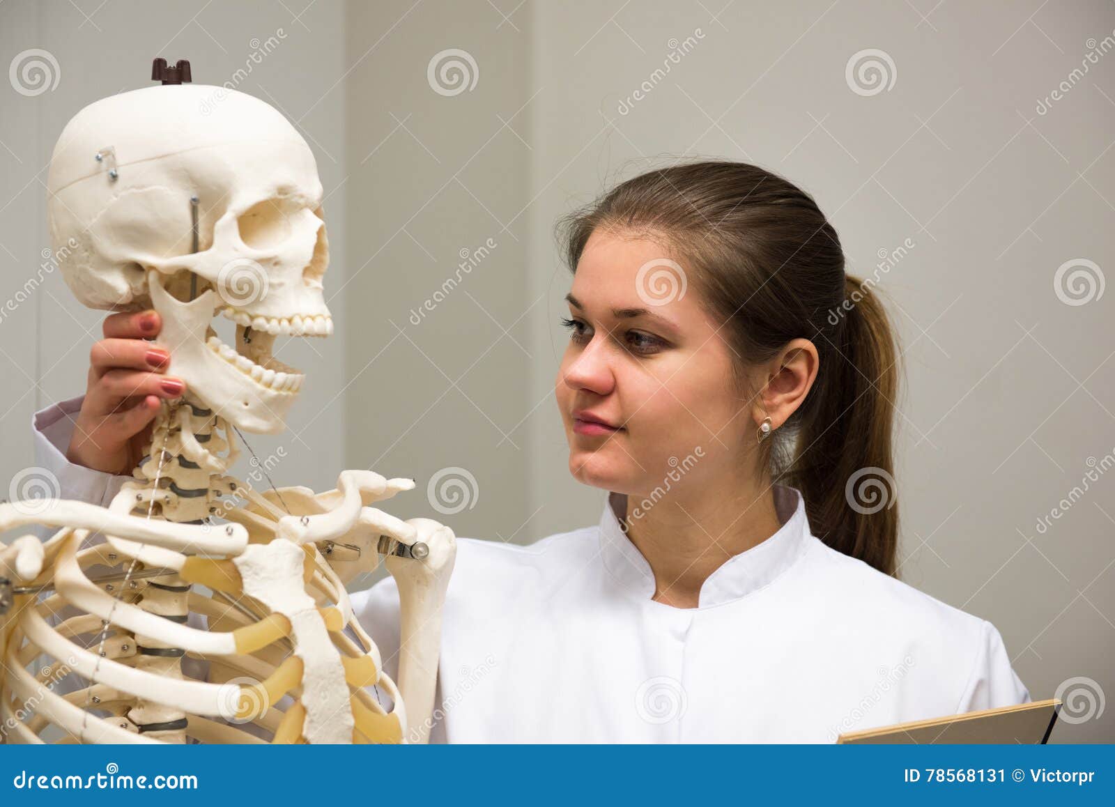 Doctor and skeleton stock image. Image of student, biology - 78568131