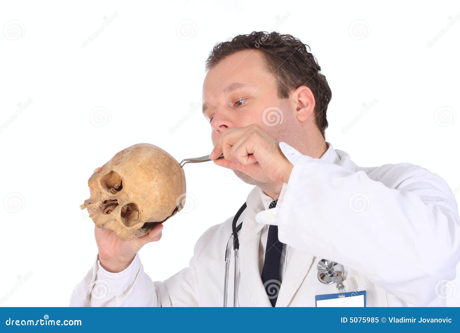 Doctor with skull stock image. Image of examining, forensic - 5075985