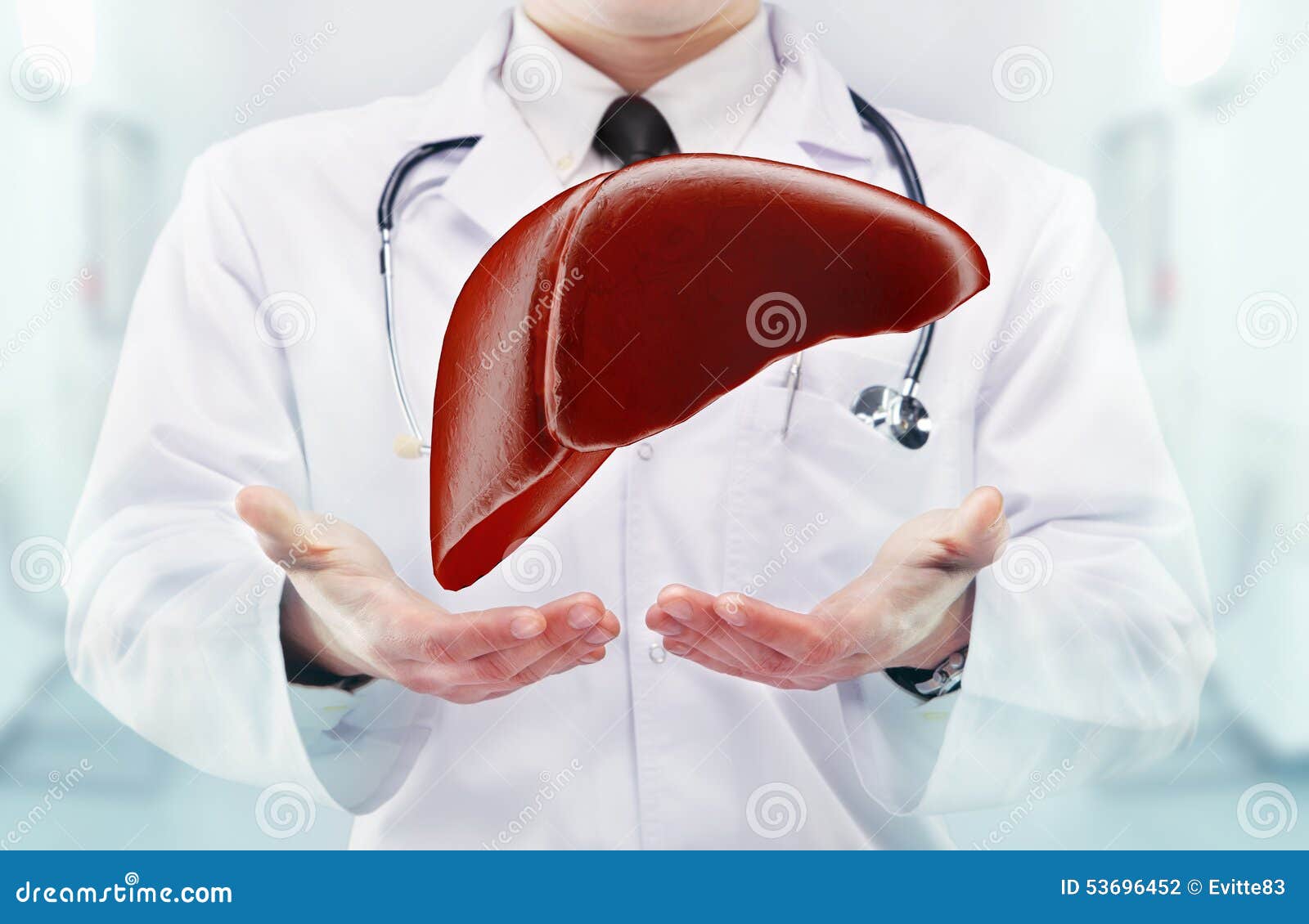 Doctor with Stethoscope and Liver on the Hands in a Hospital Stock ...