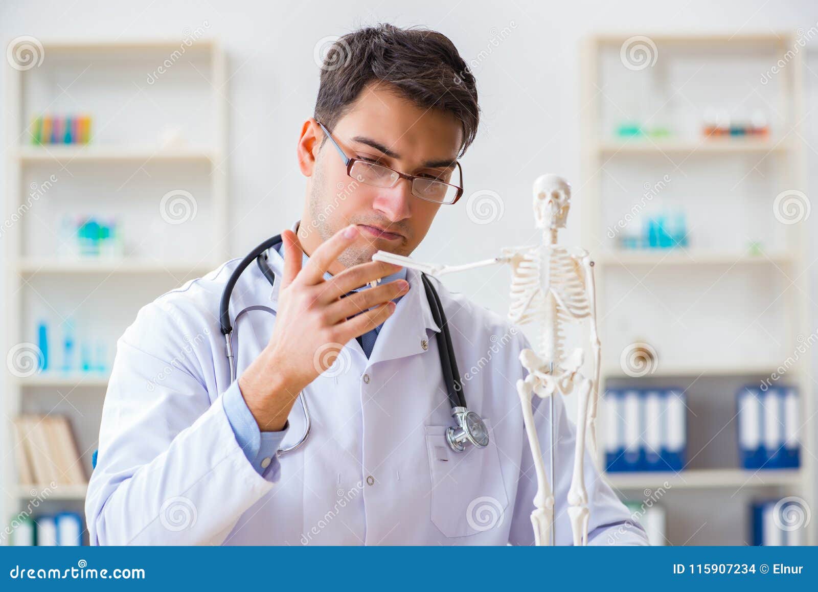 The Doctor Student Studying the Bones of Skeleton Stock Photo - Image ...