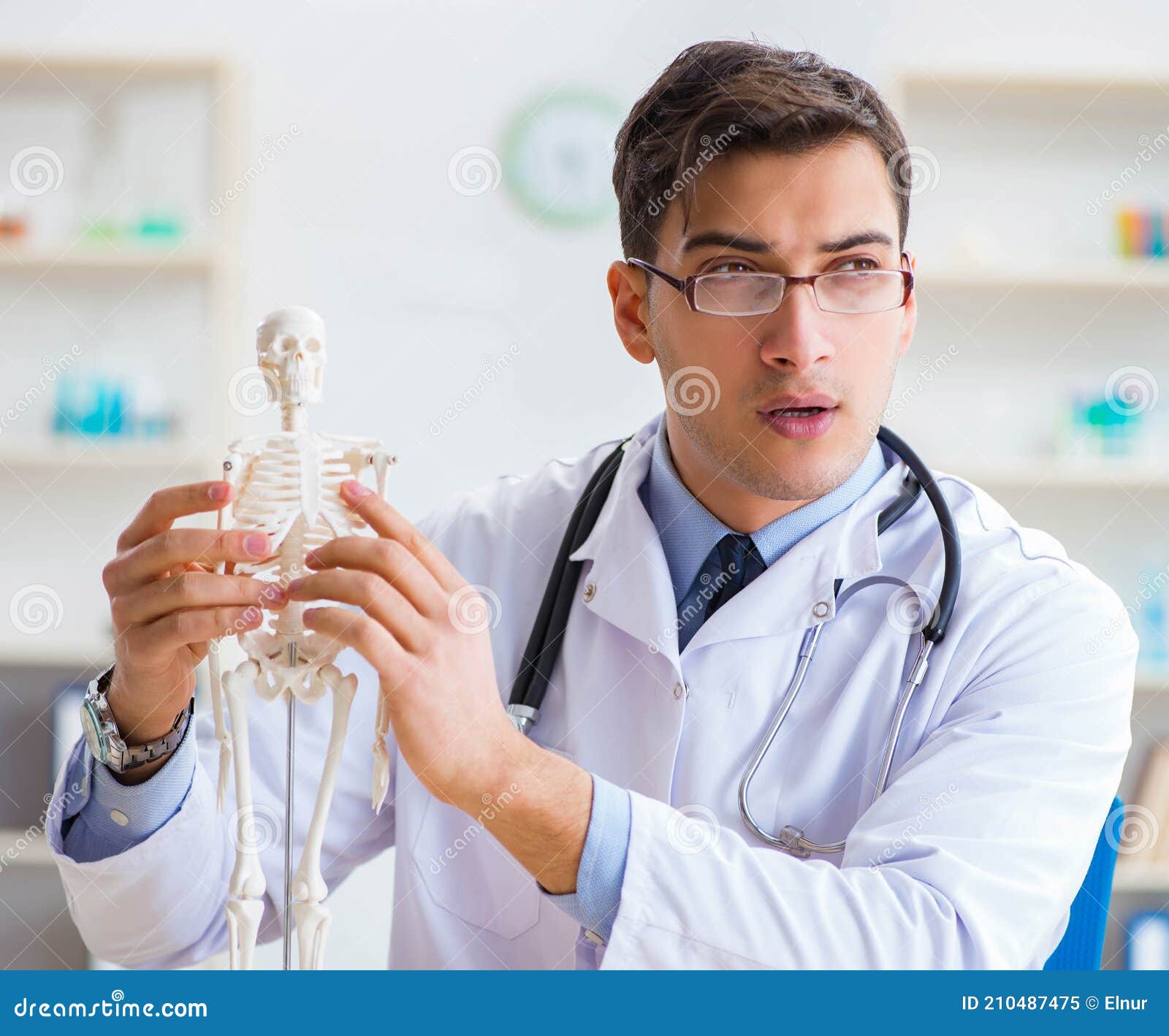 Doctor Student Studying the Bones of Skeleton Stock Image - Image of ...
