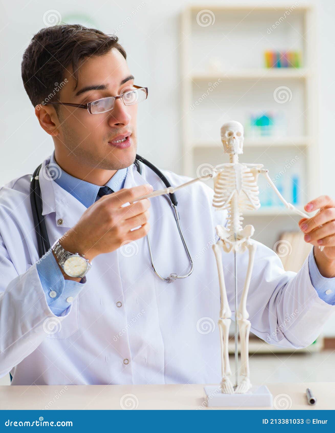 Doctor Student Studying the Bones of Skeleton Stock Image - Image of ...