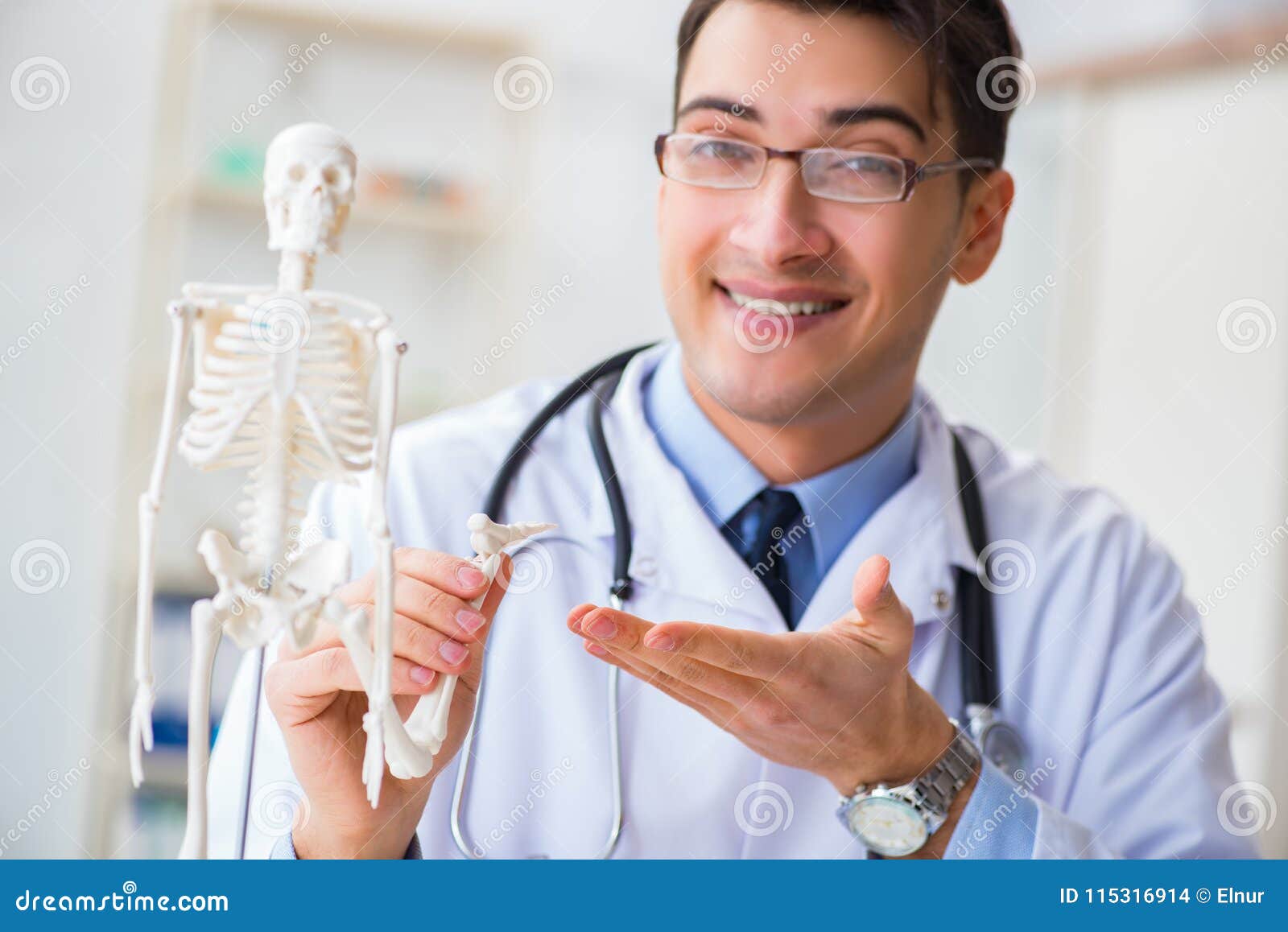 The Doctor Student Studying the Bones of Skeleton Stock Photo - Image ...