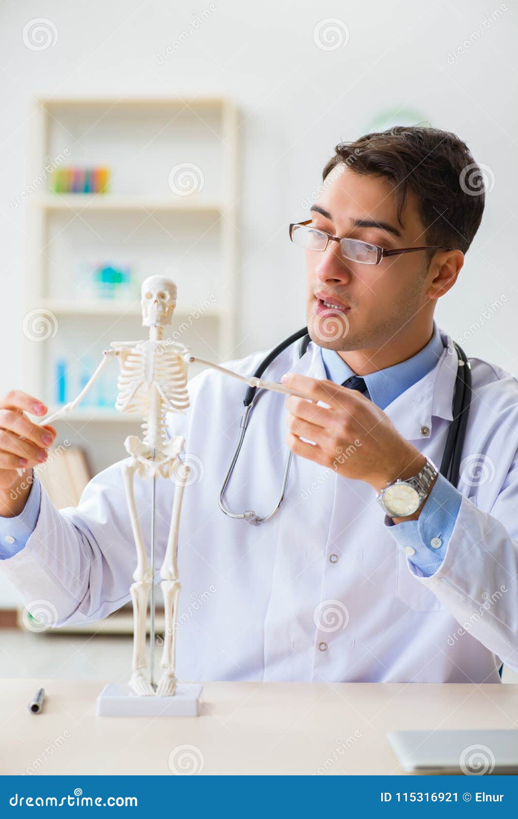 The Doctor Student Studying the Bones of Skeleton Stock Image - Image ...