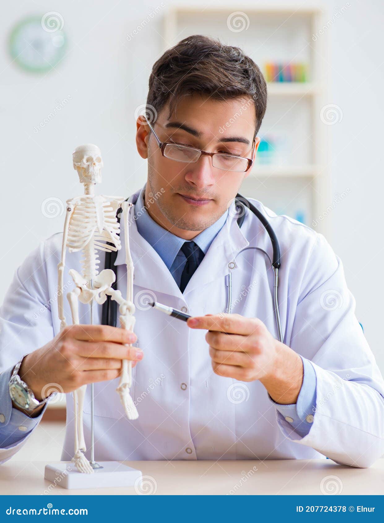Doctor Student Studying the Bones of Skeleton Stock Photo - Image of ...