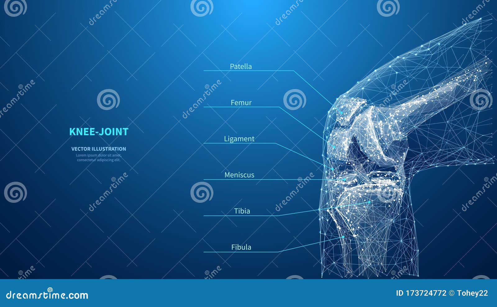 Abstract Polygonal Knee-joint on Blue Background Stock Vector ...