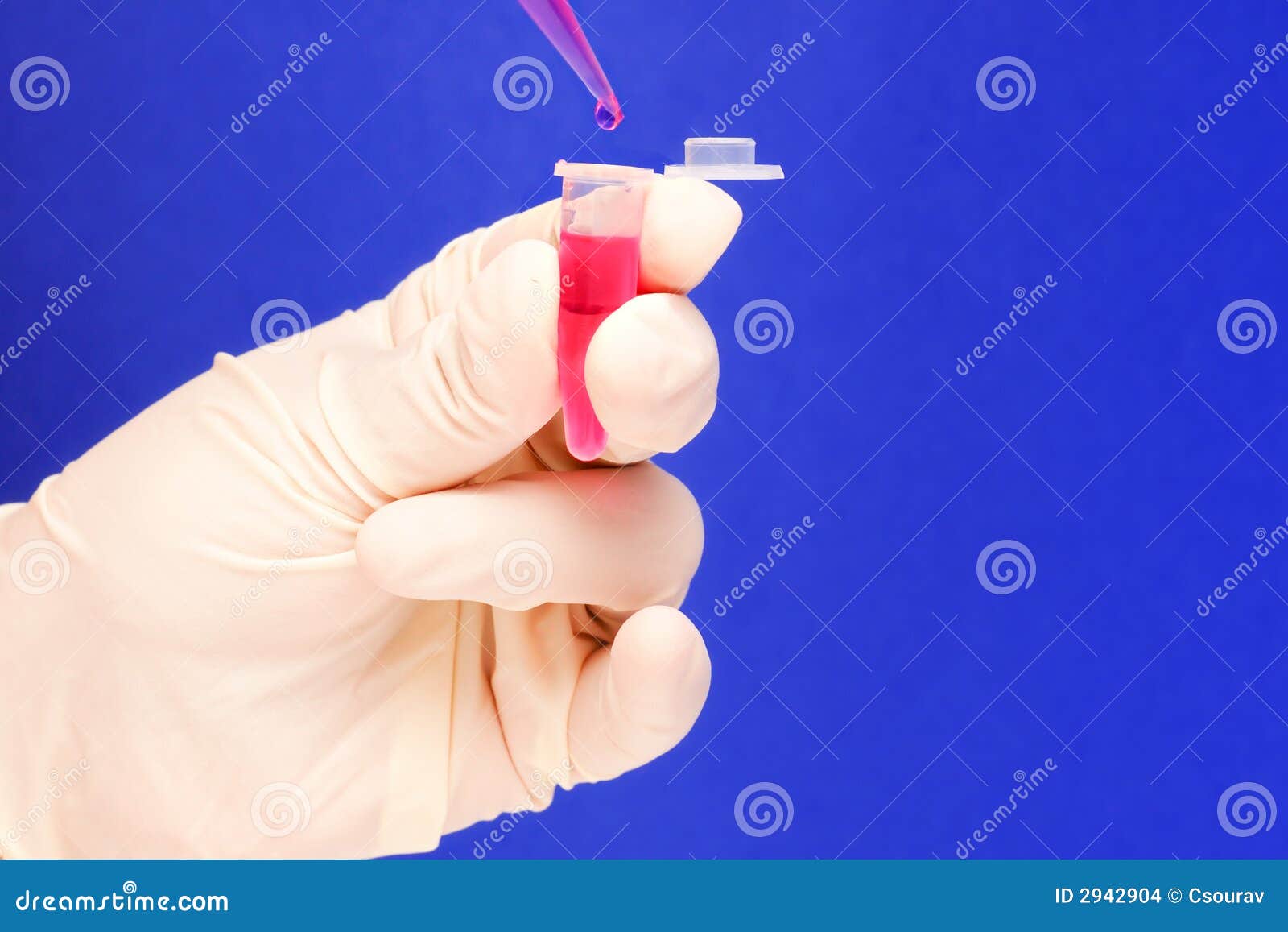 Doctor testing samples stock photo. Image of fluid, dropper - 2942904